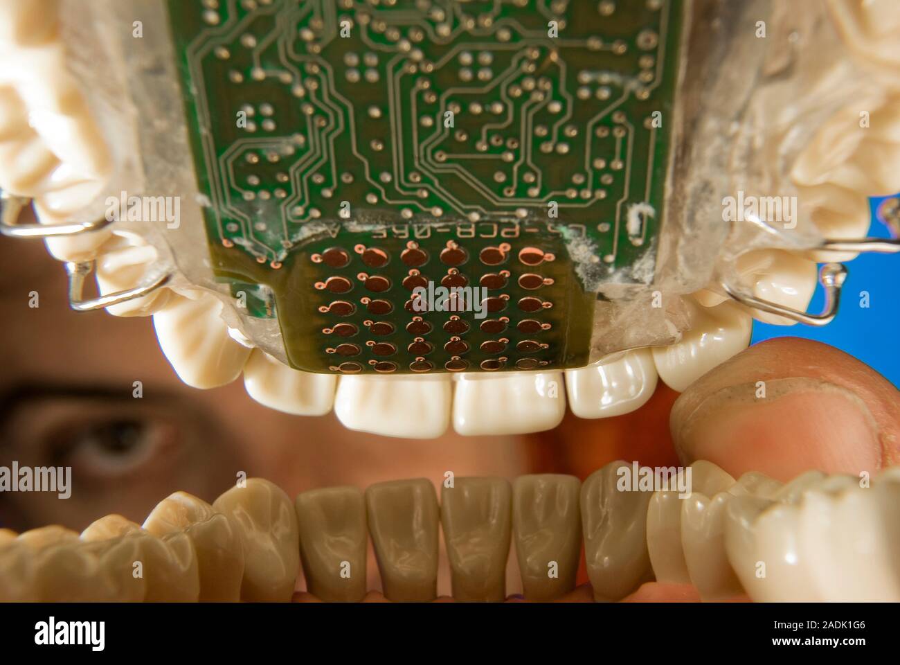 Tongue Display Unit research. Researcher positioning a wireless ...
