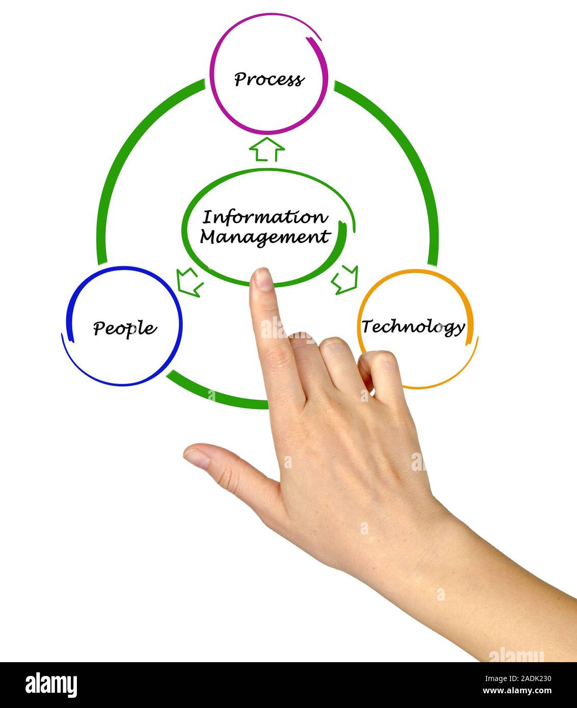 Diagram of Information Management Stock Photo - Alamy
