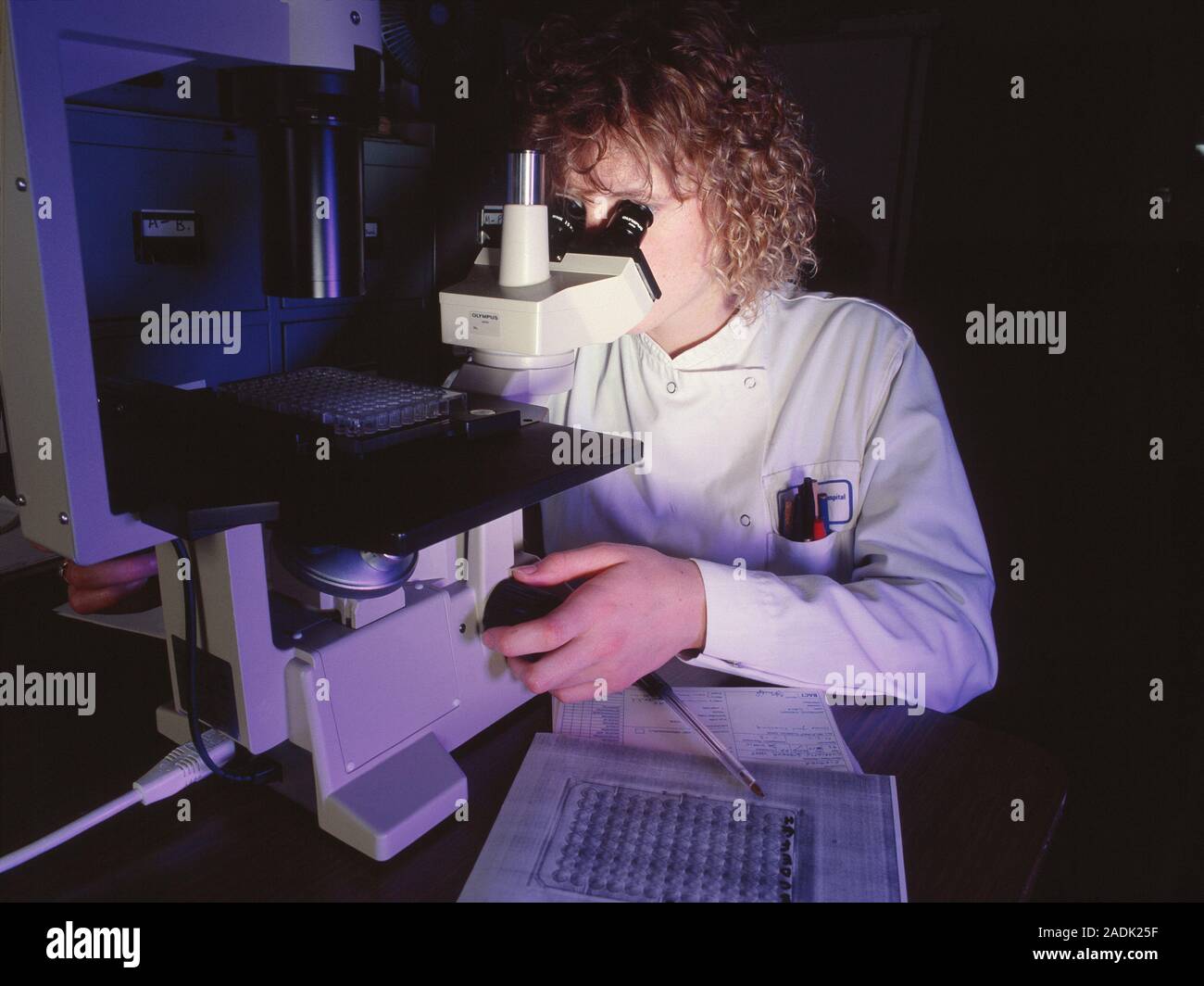 Technician using a light microscope to examine urine samples ...