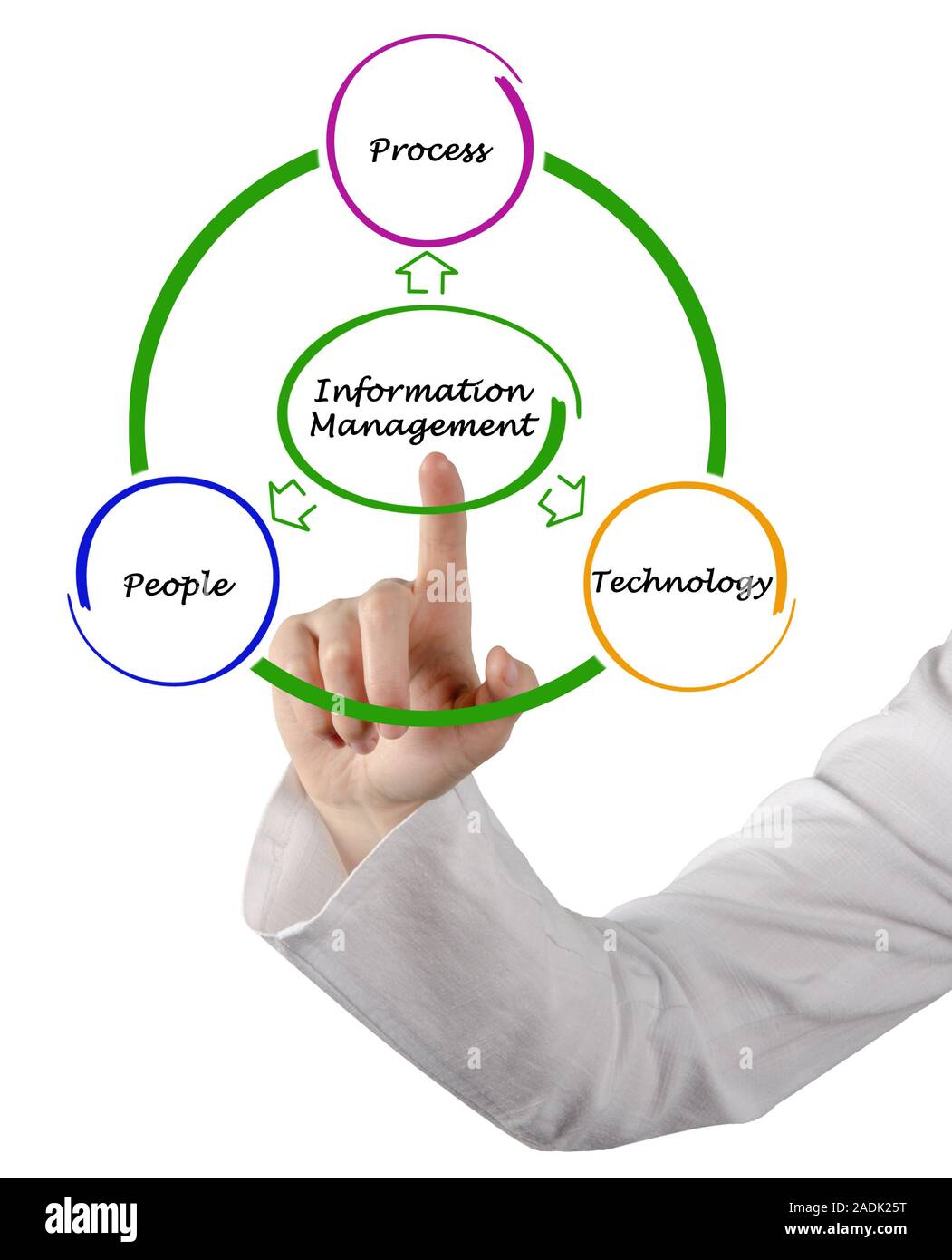 Diagram of Information Management Stock Photo - Alamy