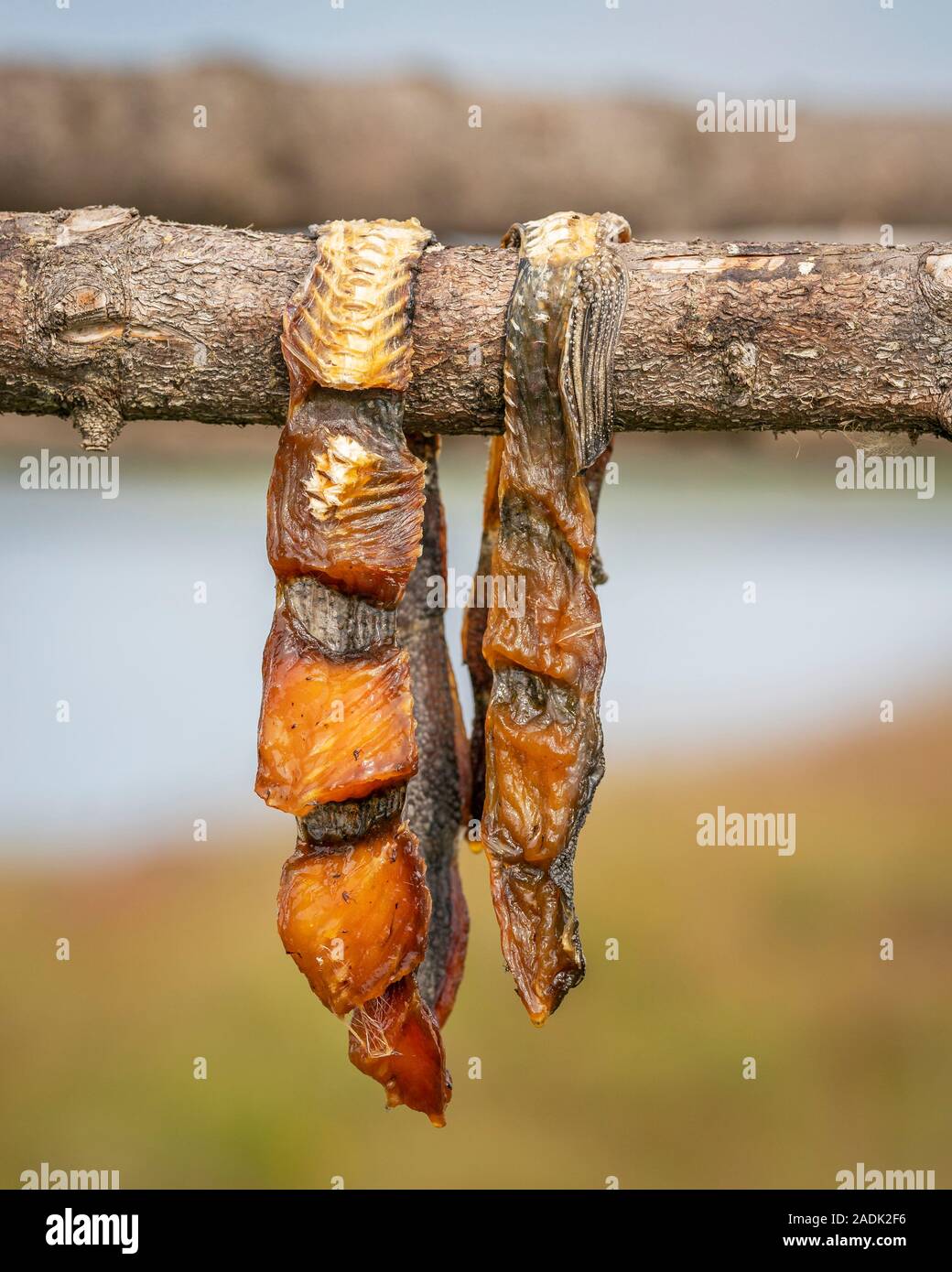Thorramatur hi-res stock photography and images - Alamy