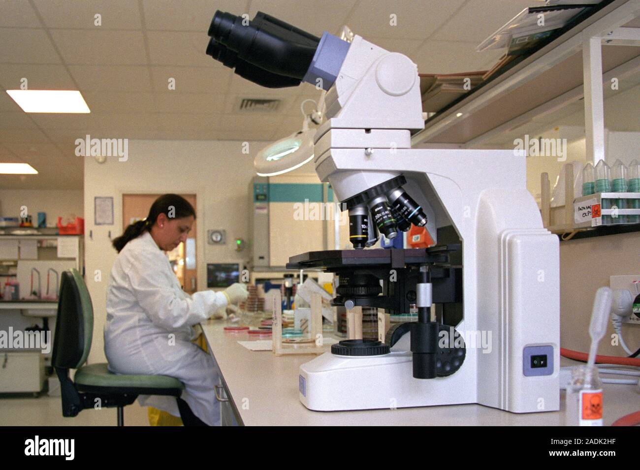 Microbiology laboratory. Microscope on a bench in a hospital ...