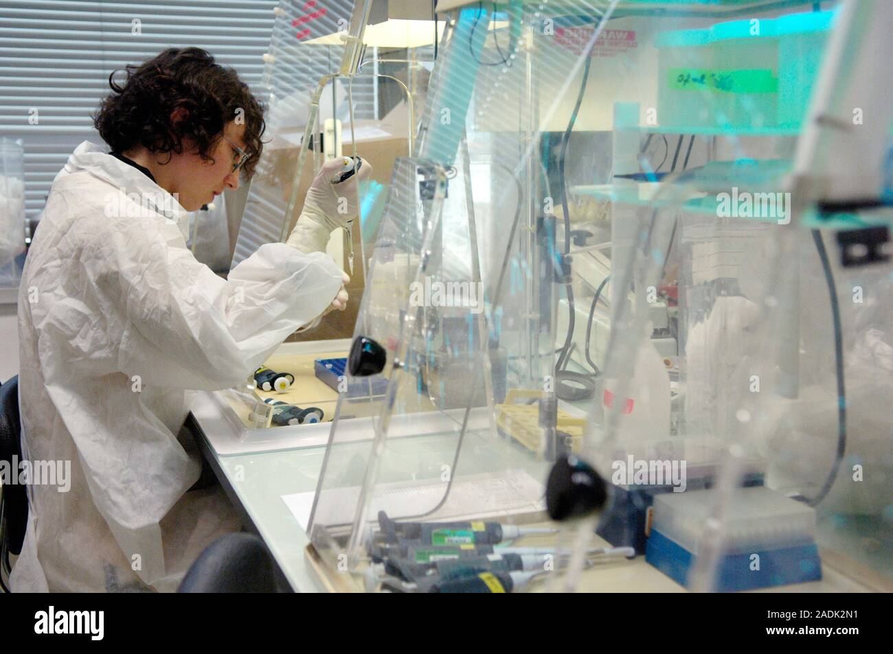 West Nile virus research. Scientist at the National Reference Centre ...