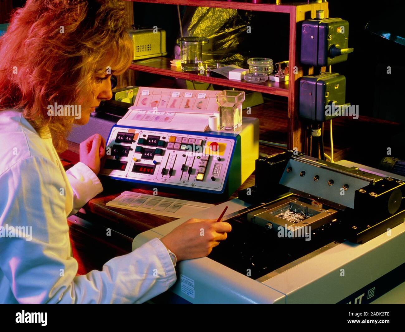 Hospital pathology laboratory scientist preparing sections of human ...