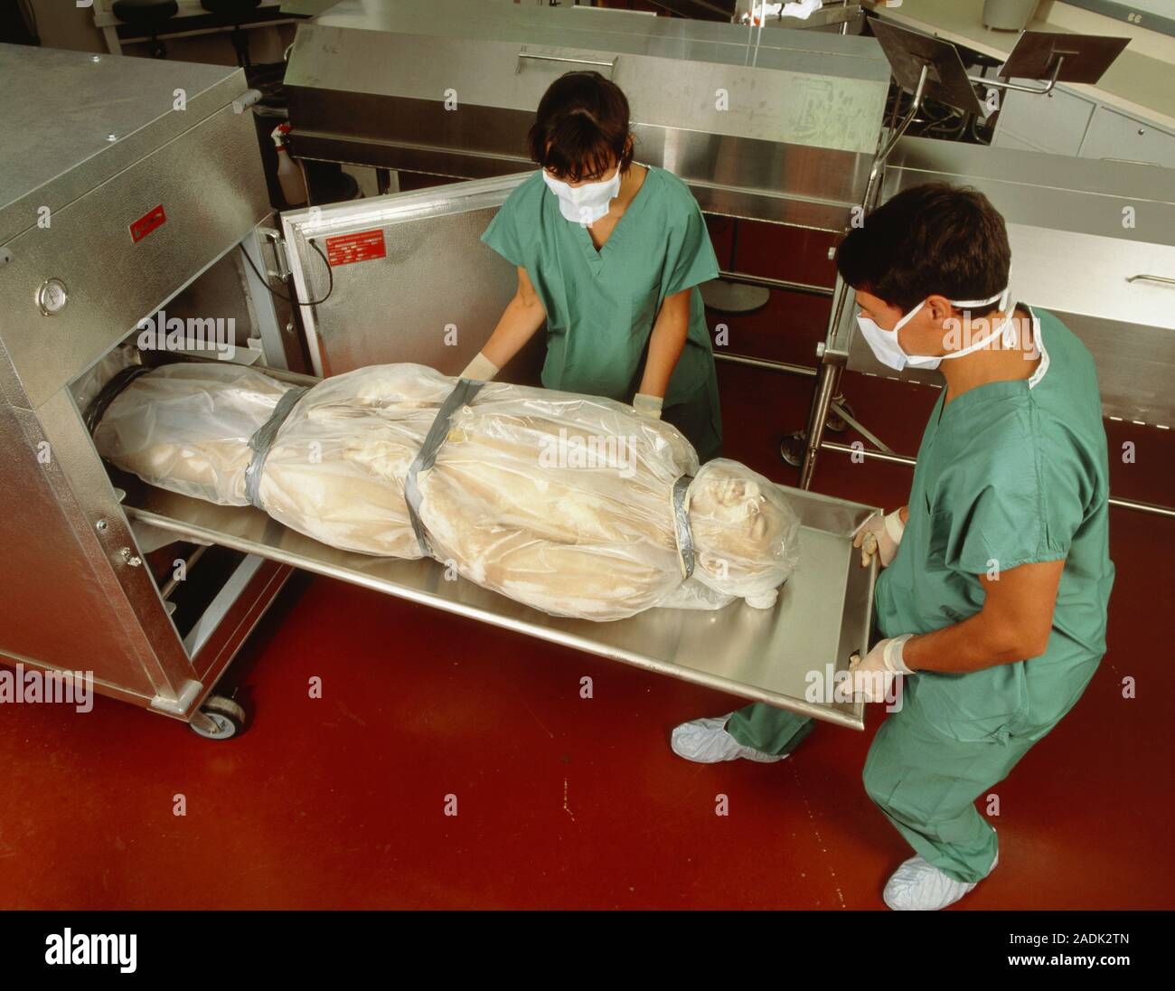 Mortuary. Mortuary technicians placing a male human body into a mobile ...