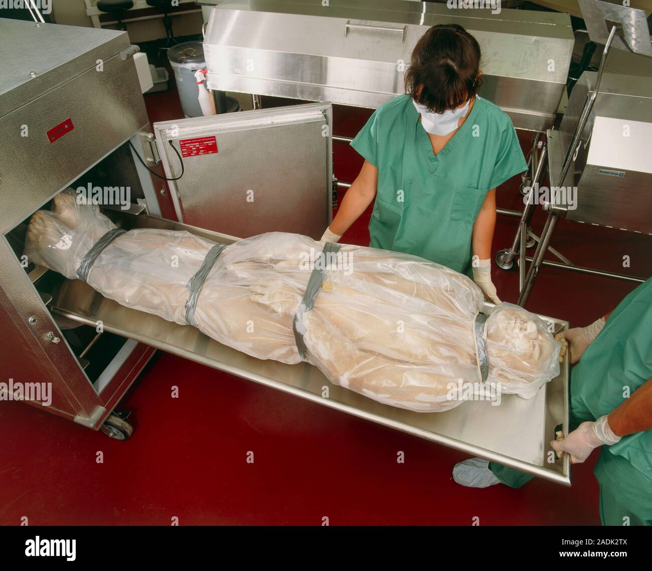 Mortuary. Mortuary technicians placing a male human body into a mobile ...
