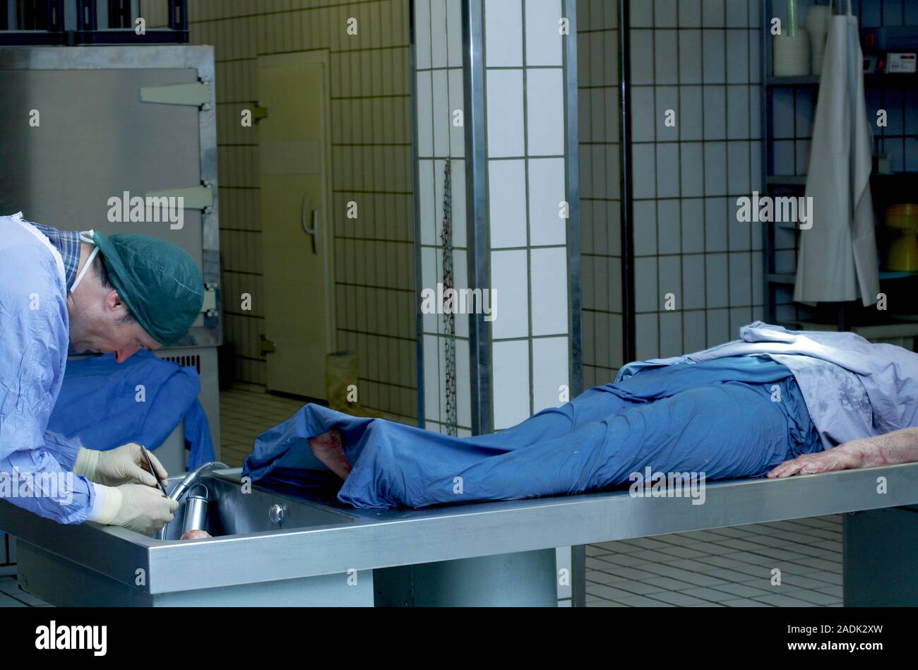 Autopsy examination. Pathologist (left) preparing to perform an autopsy ...