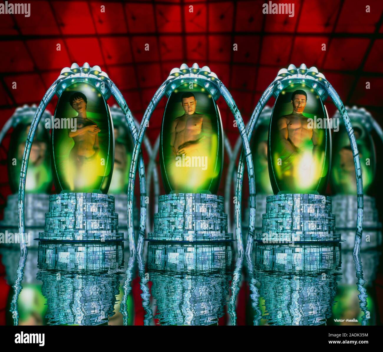Cryogenic pods. Computer illustration of people in cryogenic pods ...