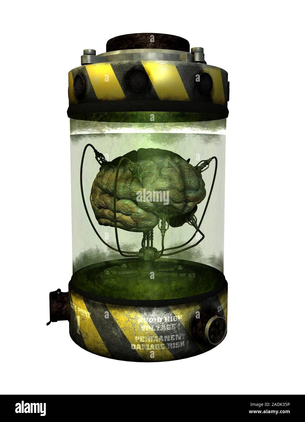 Preserved brain. Conceptual computer artwork of a brain being preserved ...