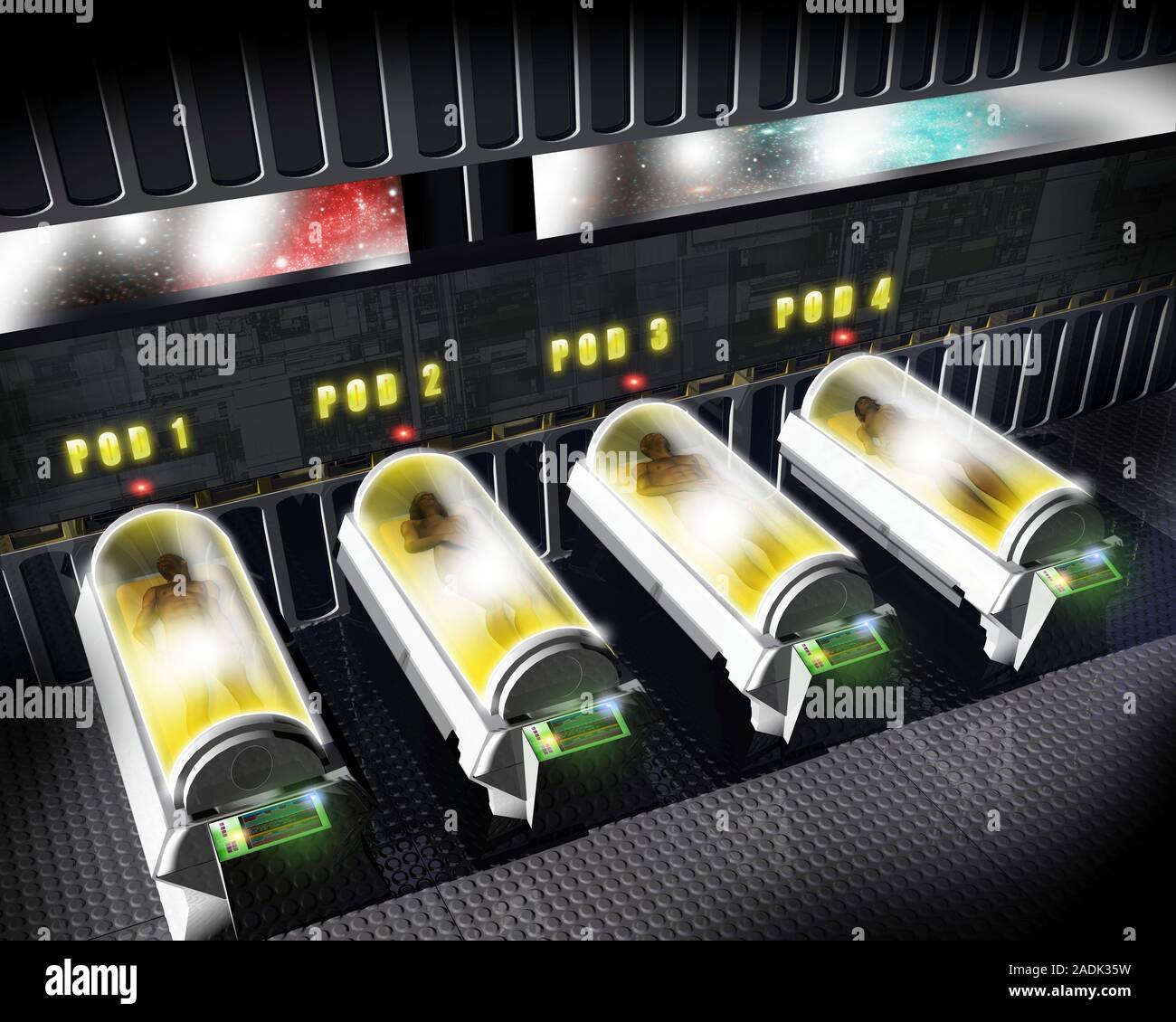 Cryogenic preservation. Computer artwork of humans in cryogenic ...