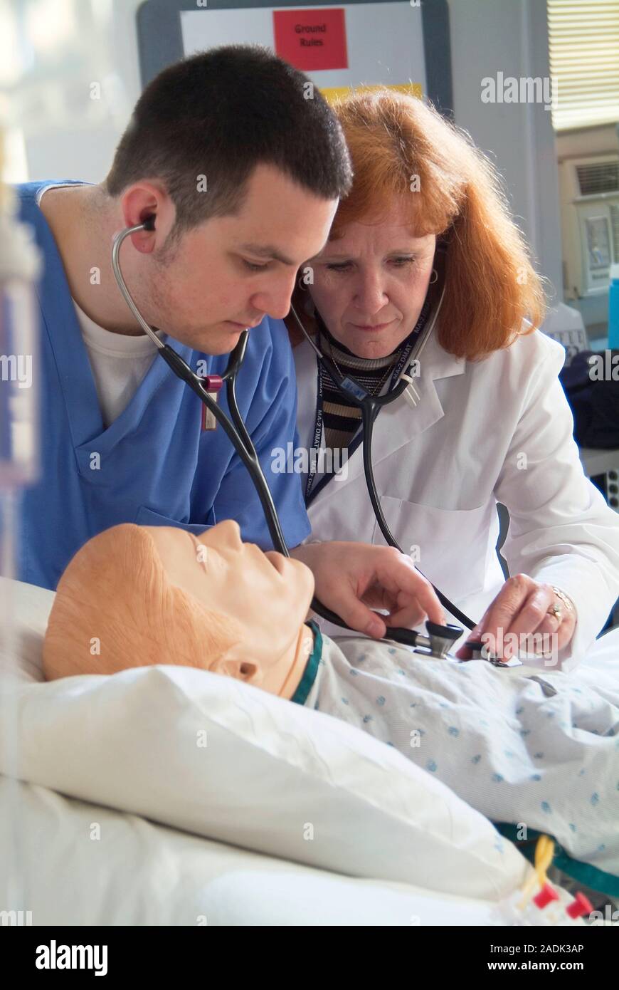 Medical training. Doctor training a medical student (blue clothing) to ...