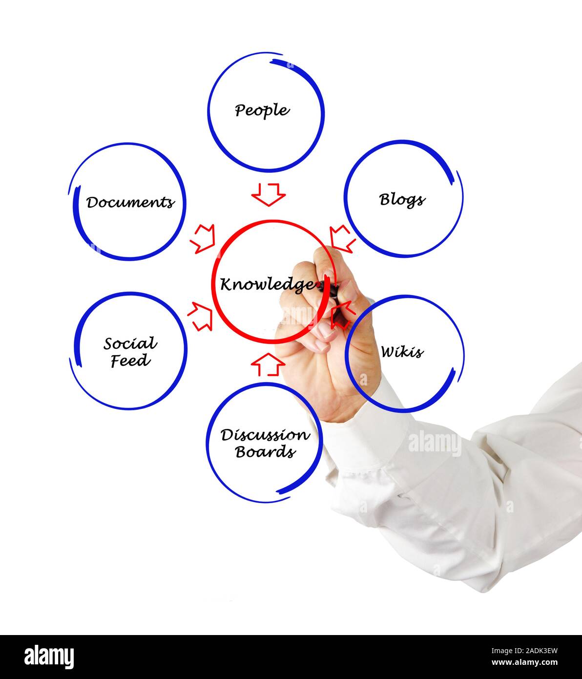 Diagram of knowledge Stock Photo - Alamy