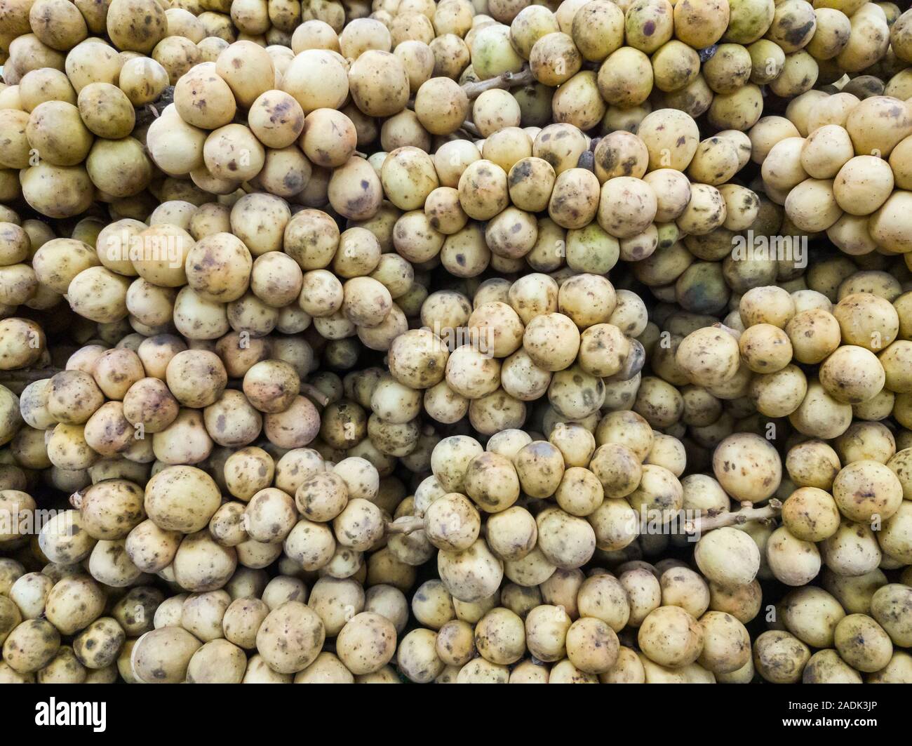 Organic fram hi-res stock photography and images - Alamy