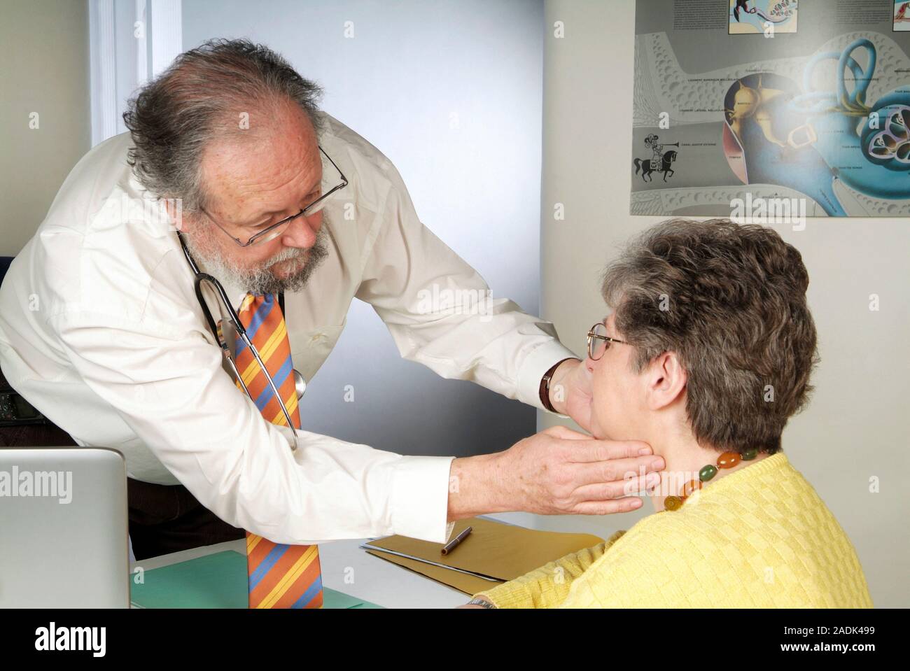 MODEL RELEASED. Neck examination. General practitioner examines the ...