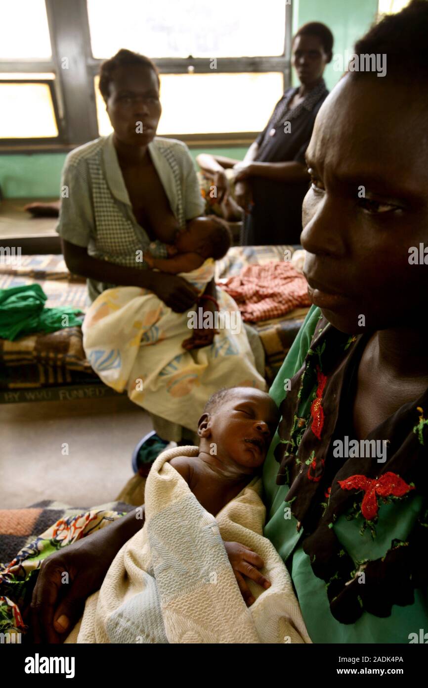 Maternity ward. Mothers and their newborn babies in a hospital ...