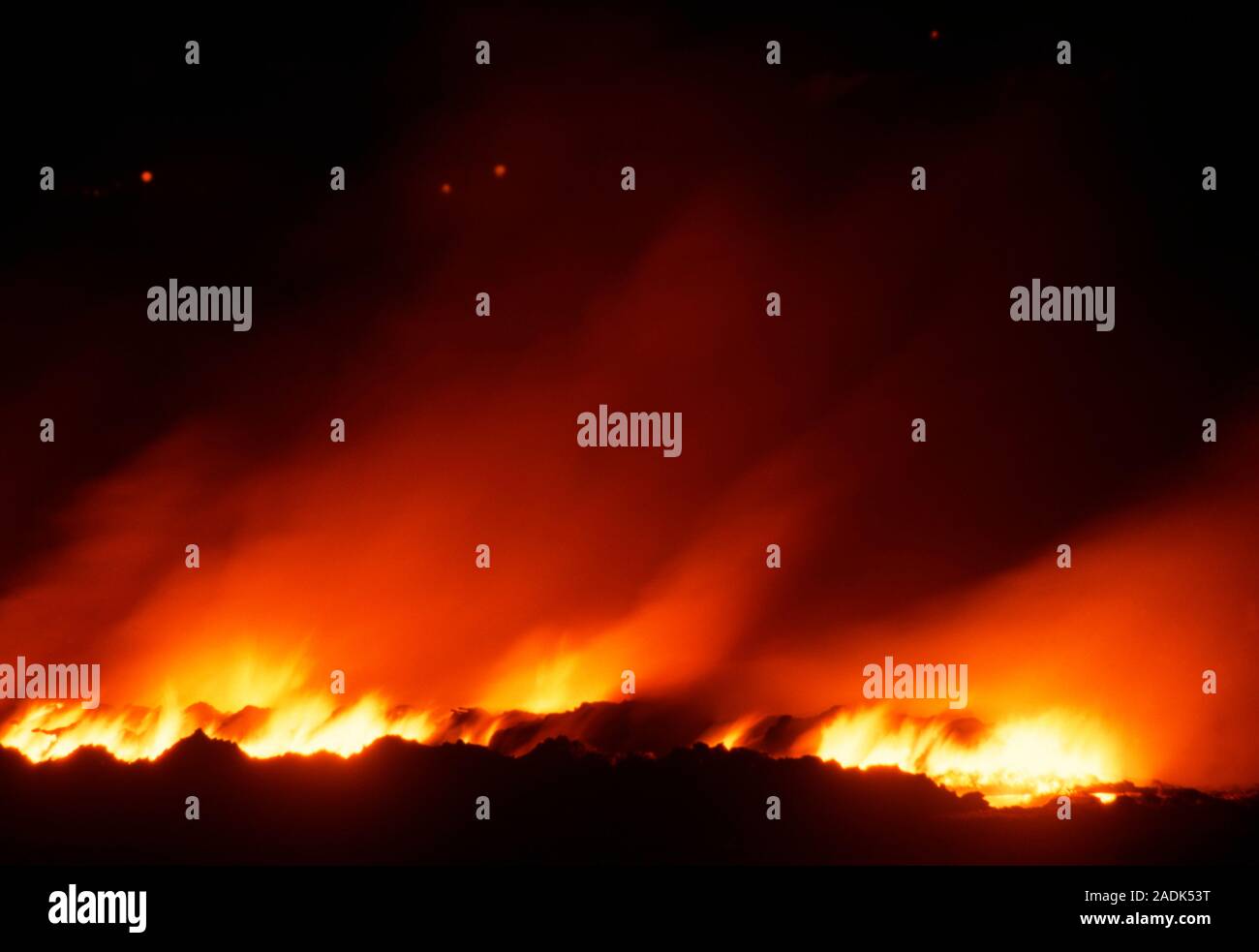 Foot and mouth disease. Night view of flames and smoke rising from a ...