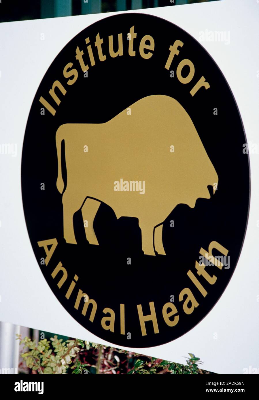 Institute for Animal Health sign. A sign outside the Pirbright ...