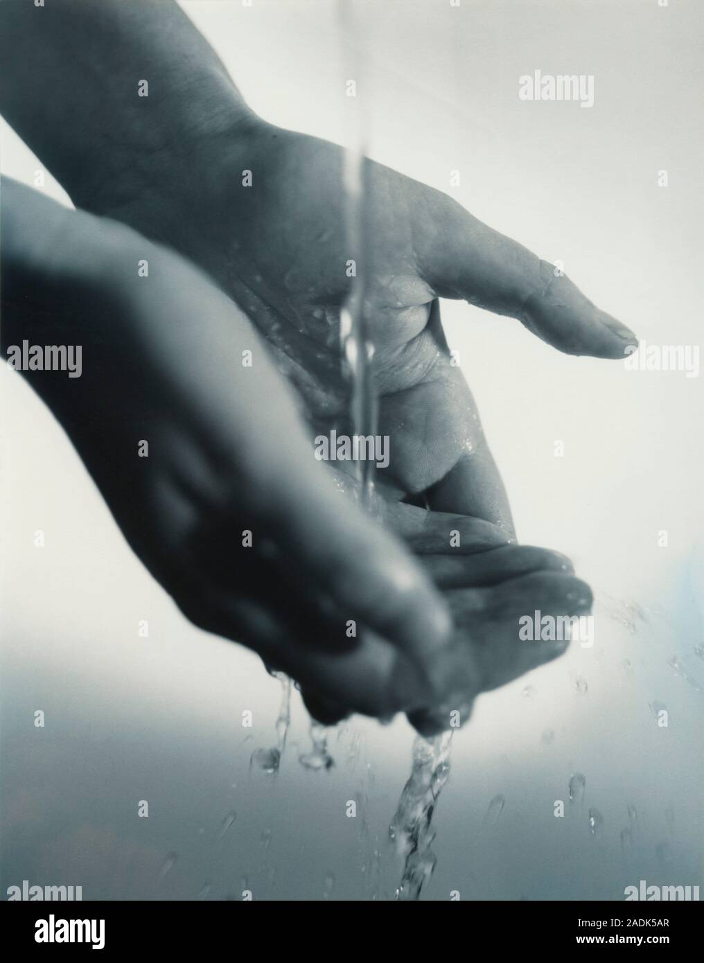 Washing hands under running water Stock Photo - Alamy