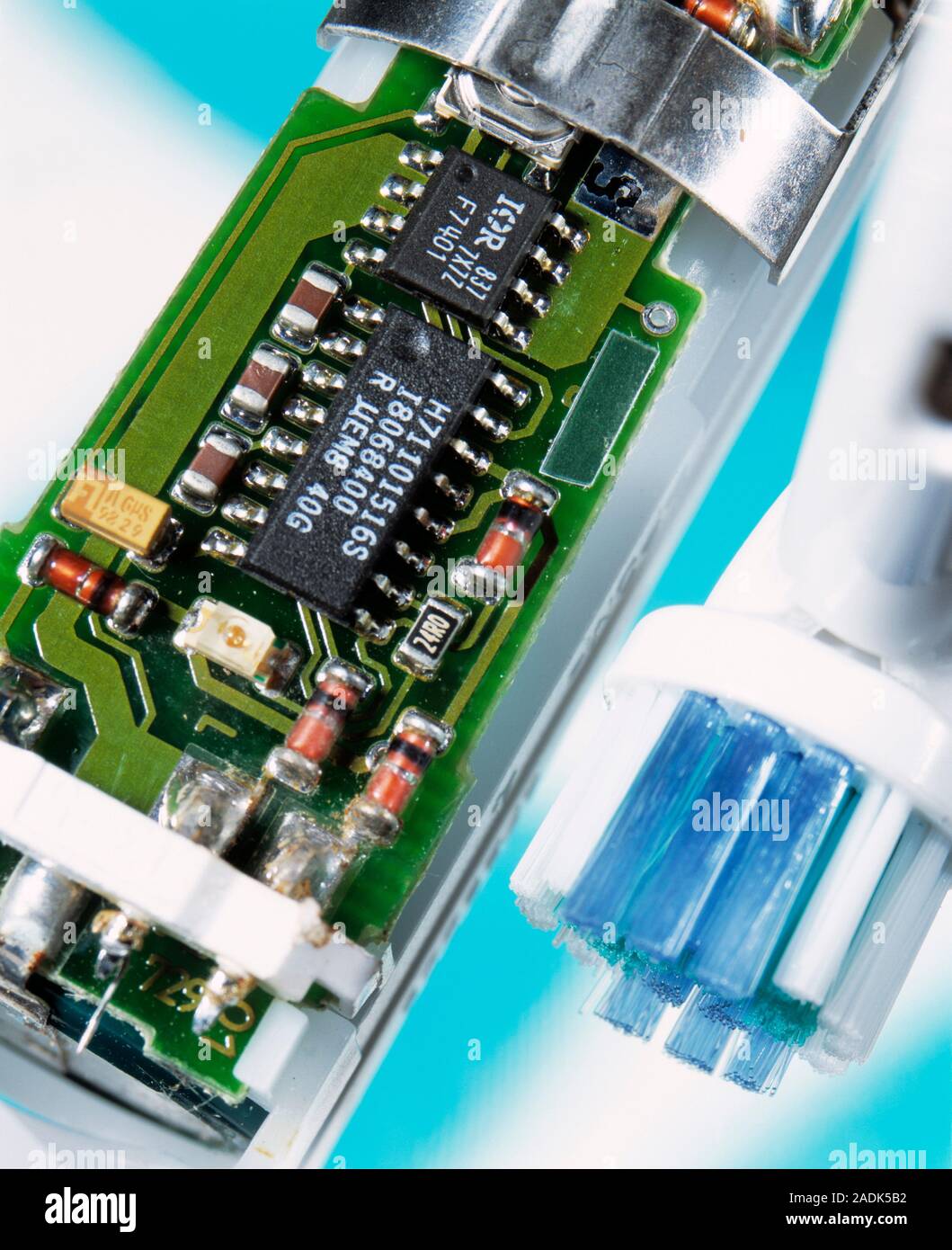 Electric toothbrush head and circuit board. The circuit board (left ...