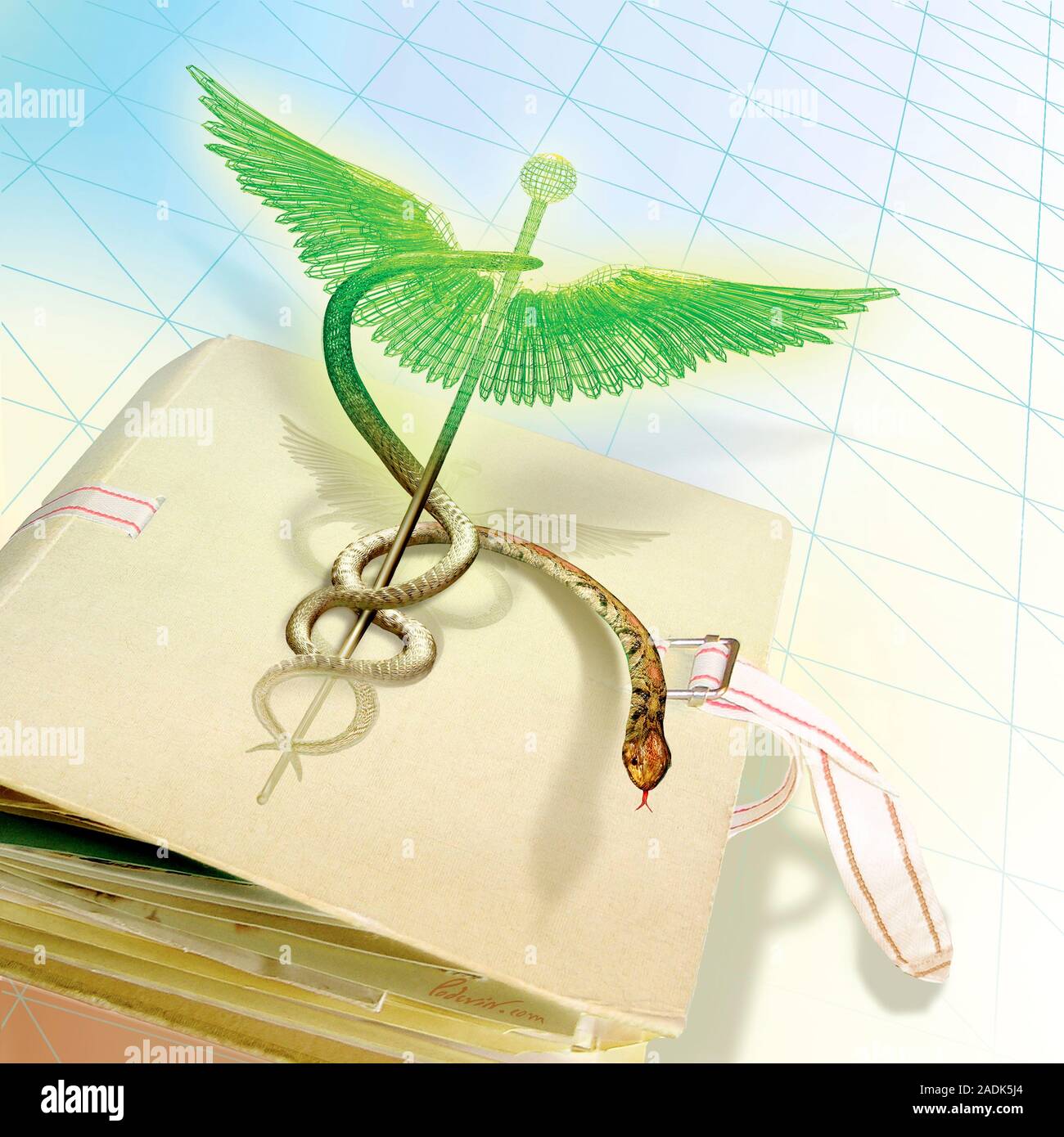 Caduceus, computer artwork. The caduceus is an ancient symbol that is ...