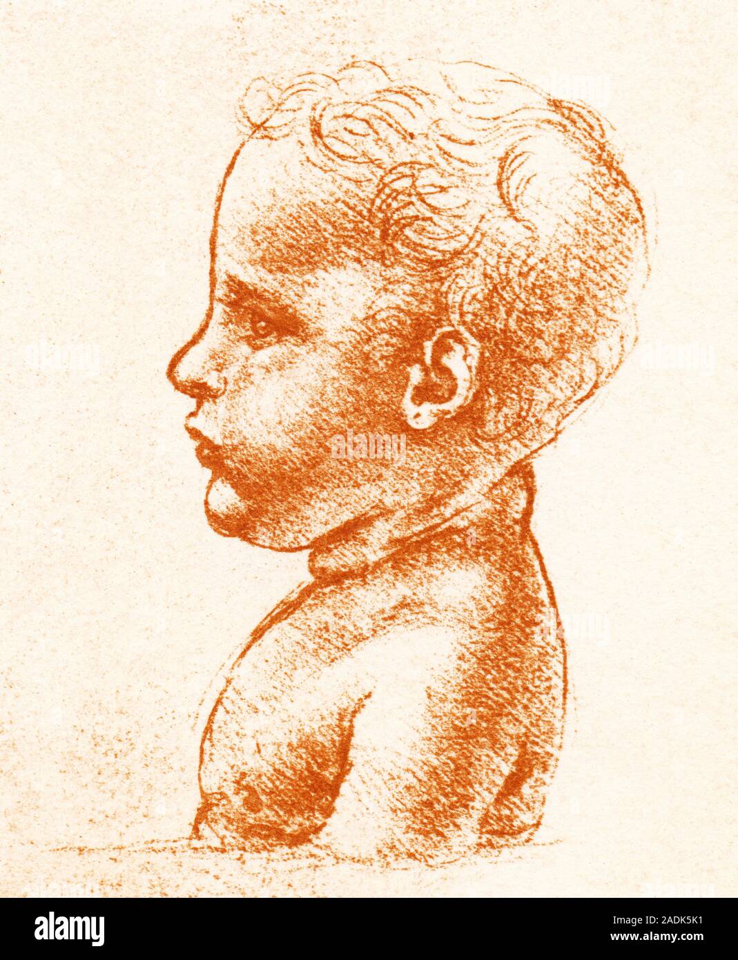 Child's head. Historical artwork of the head and upper chest of a child ...
