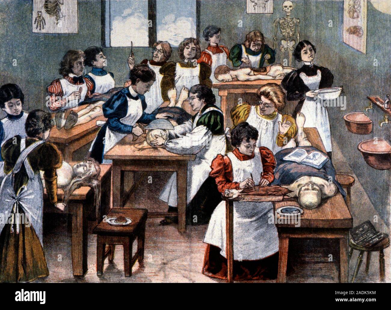 Dissection lesson. Coloured historical artwork of nurses having a ...