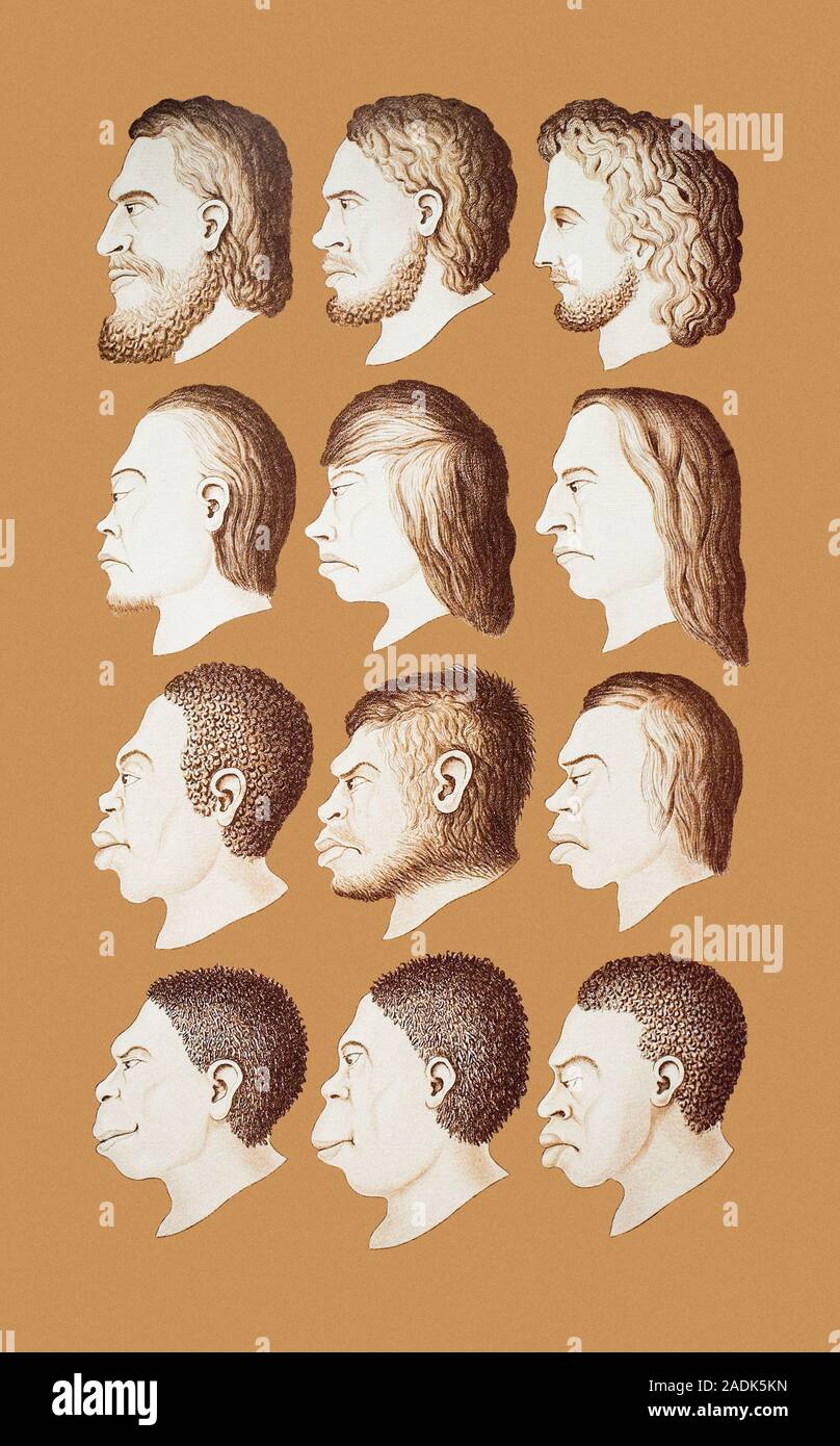 Twelve human faces. Historical artwork of twelve racially-distinct ...