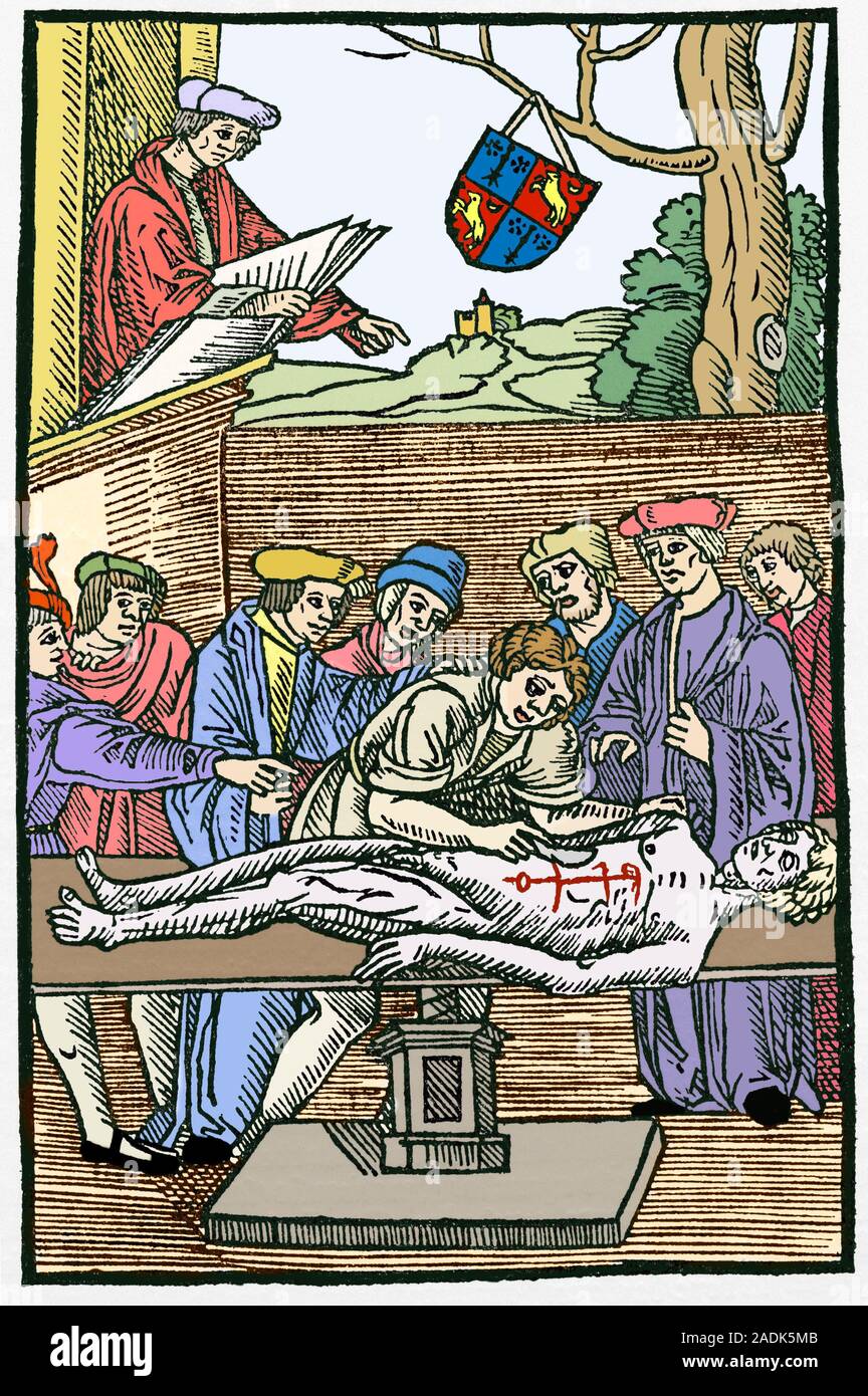 Mondino dissection. Coloured historical artwork of the first official ...