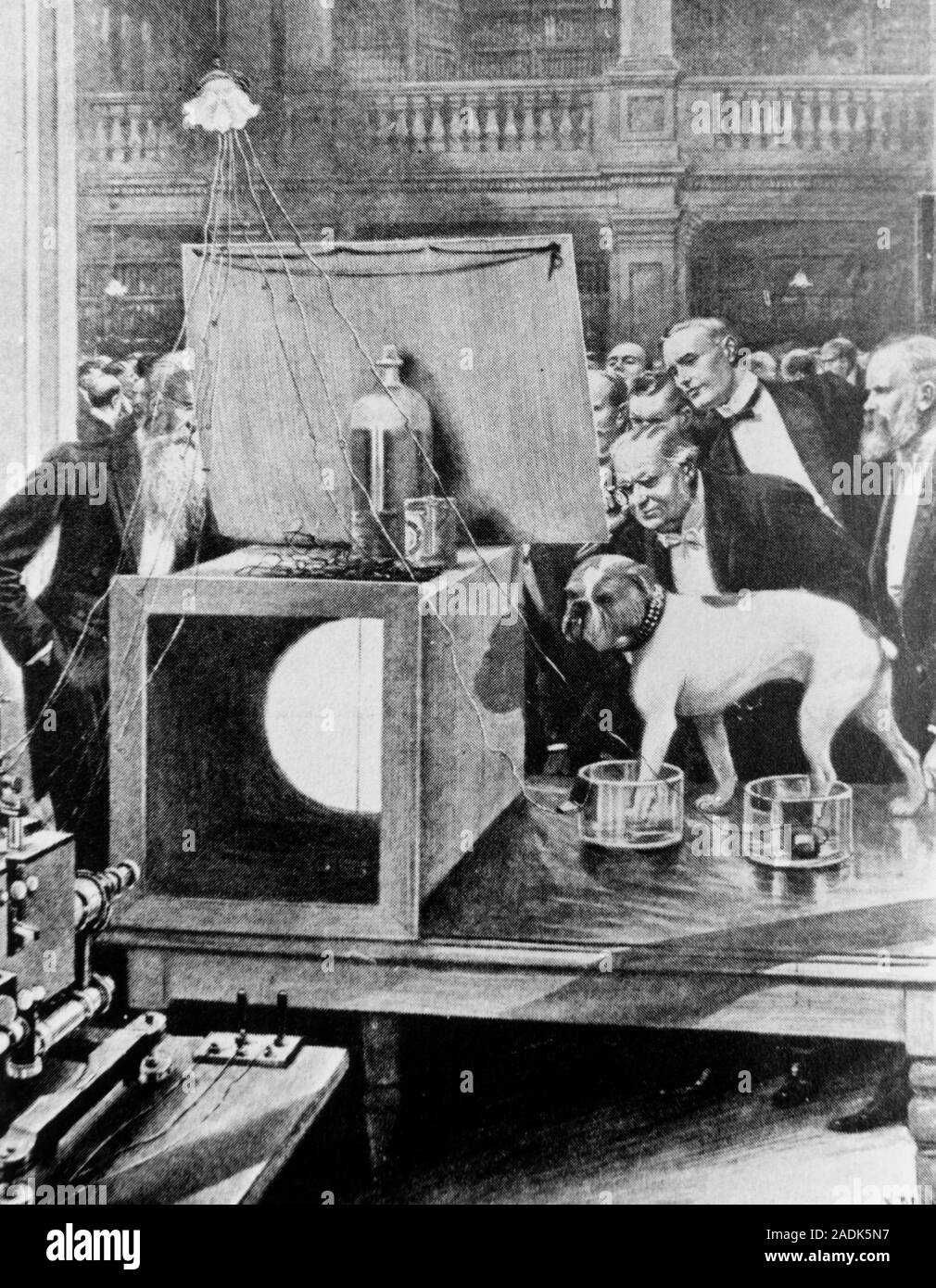 Heart measurement. Illustration of the first public demonstration of a ...