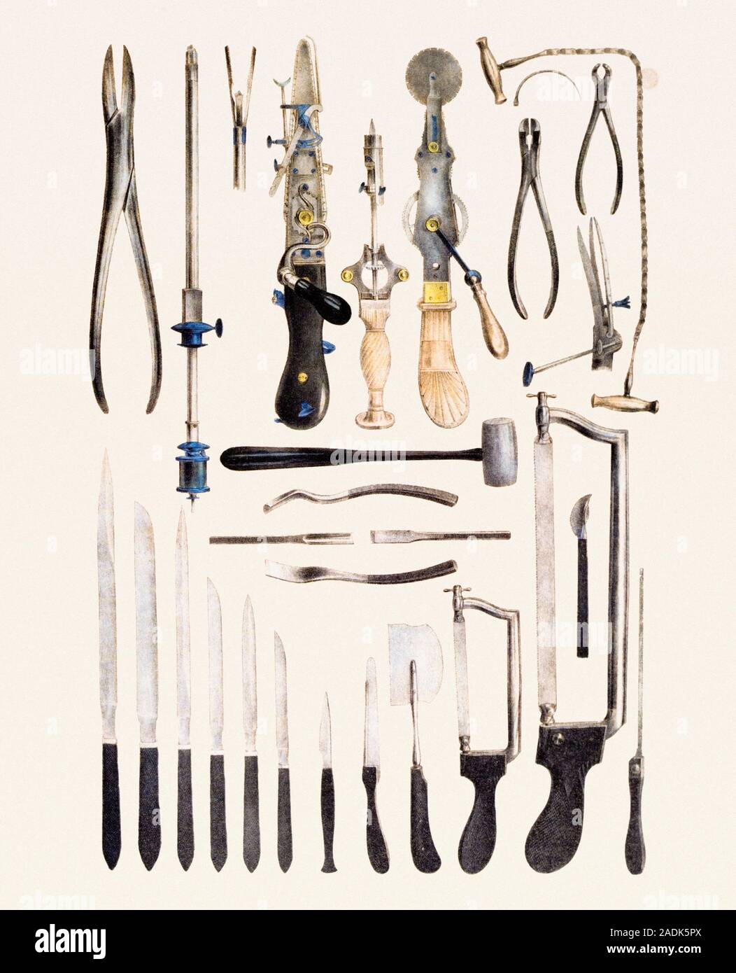 Surgical instruments for use on bones, historical anatomical artwork ...