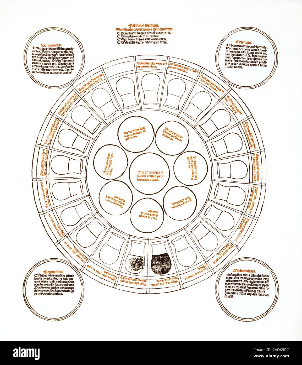 Medieval urine wheel and the four humours. Labelled in Latin, this 15th ...