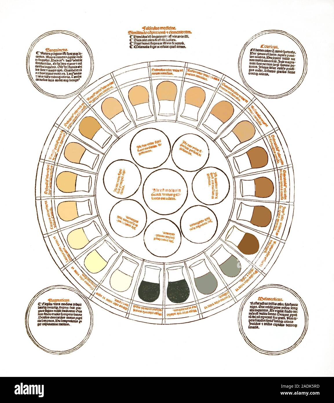 Medieval urine wheel and the four humours. Labelled in Latin, this 15th ...