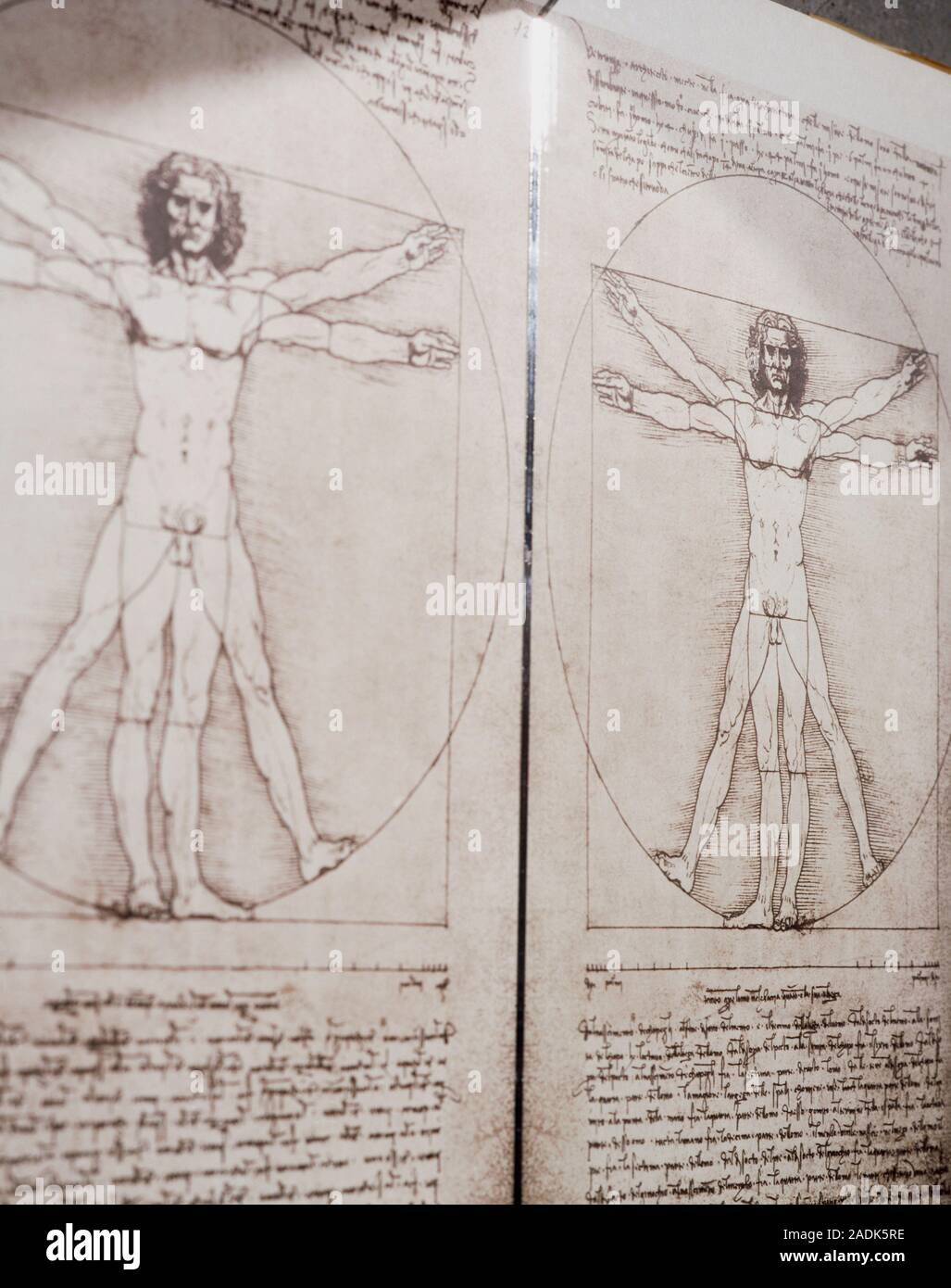 Human body. Drawing of the movement of the human body, and its ...