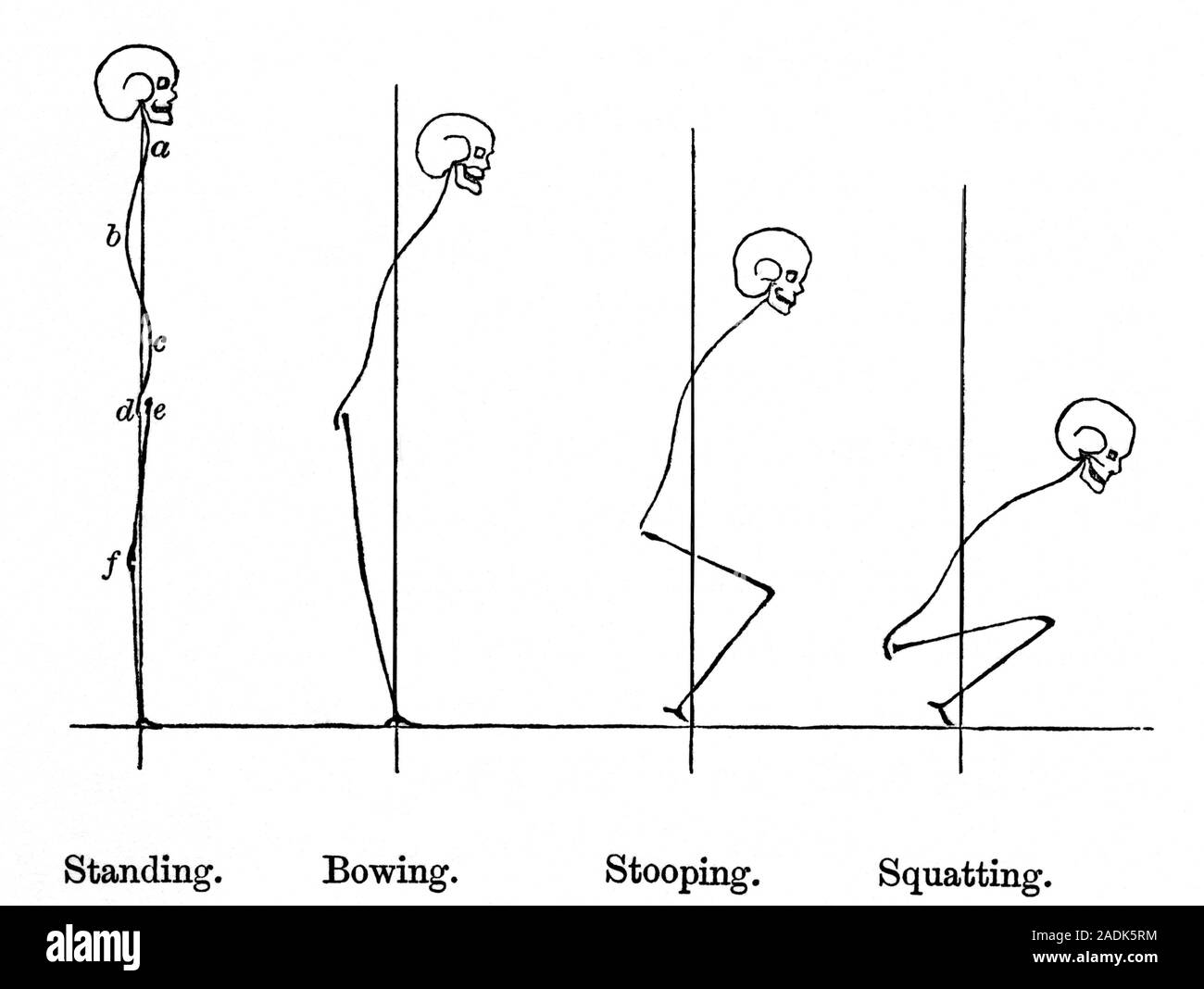 Human postures, historical artwork. The images show an outline of the ...