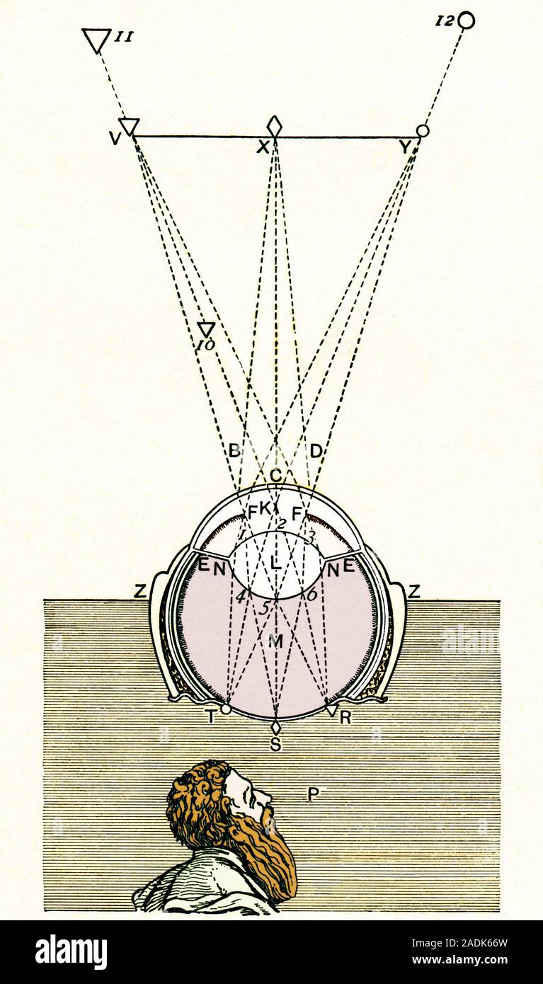 Descartes' optics theory, artwork. This is the eye diagram from ...