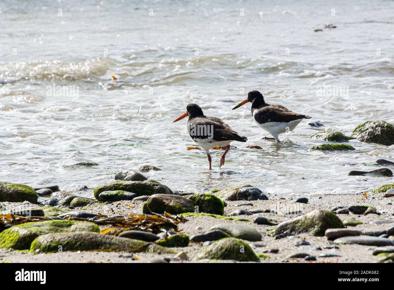 Porthloo beach hi-res stock photography and images - Alamy