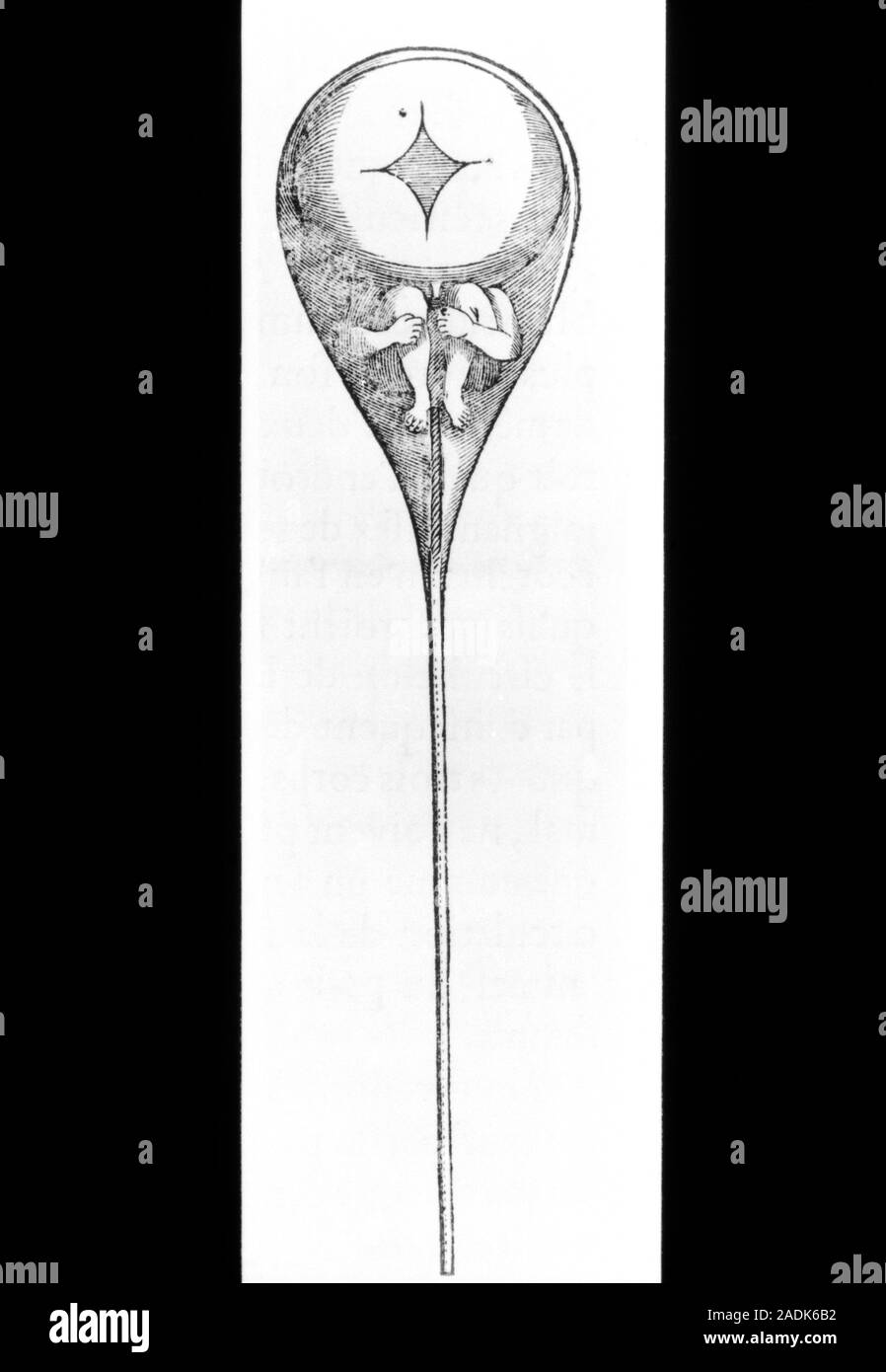 Illustration of the concept of the homunculus, after a drawing by ...