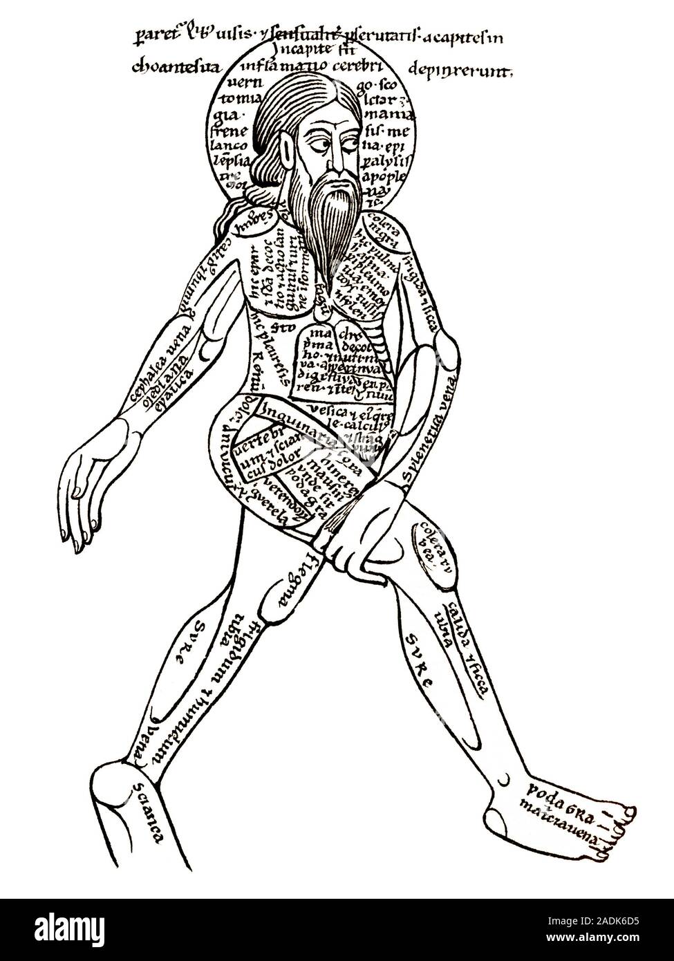 Map of diseases. 15th century diagram with Latin text illustrating ...