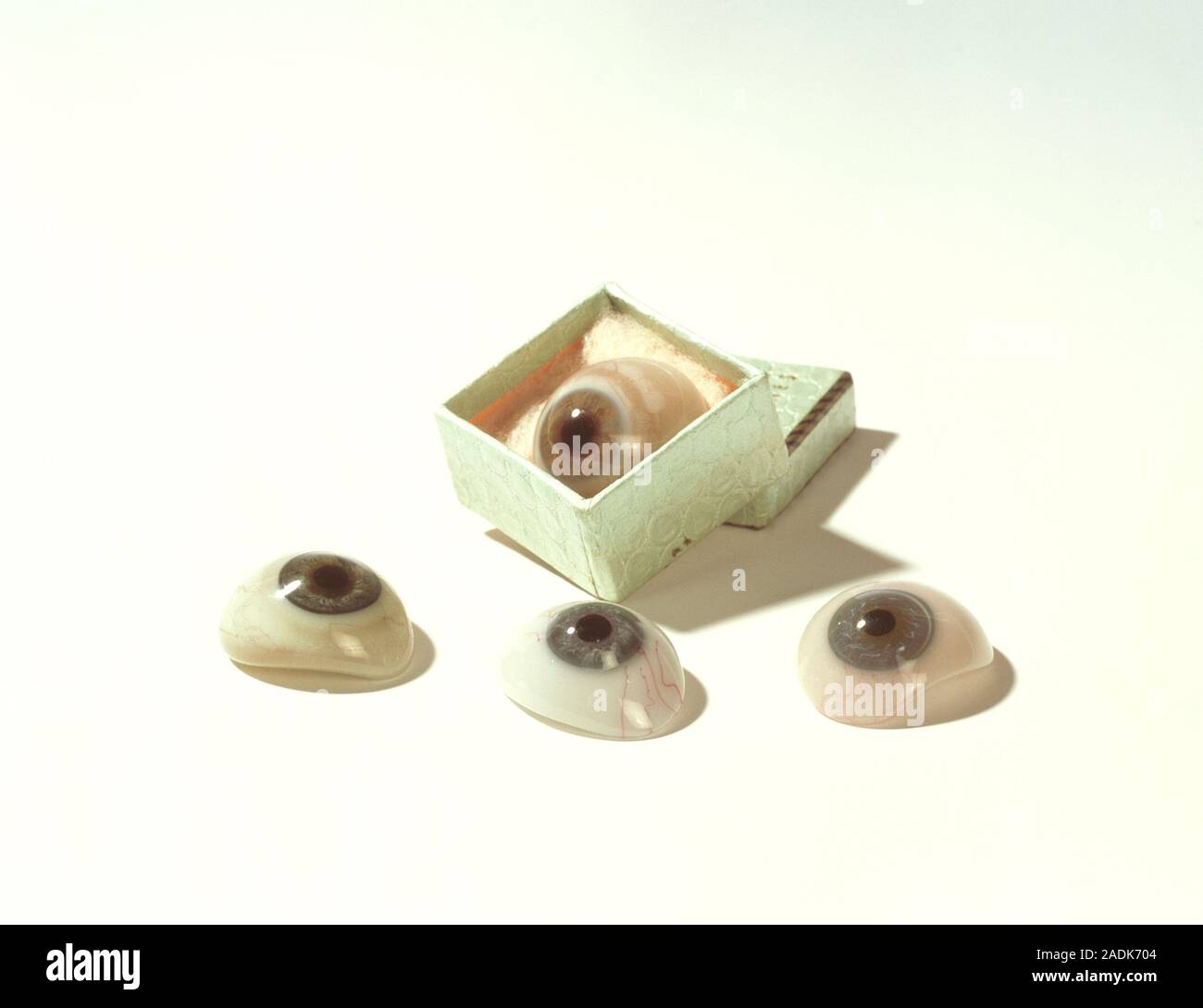 False eyes made of glass. Each of these artificial eyes fitted behind ...