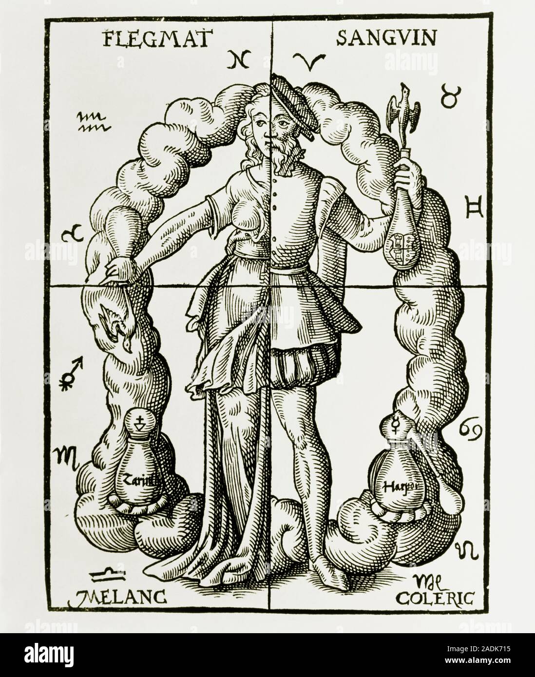 Four humours. Historical artwork of a half male and half female figure ...