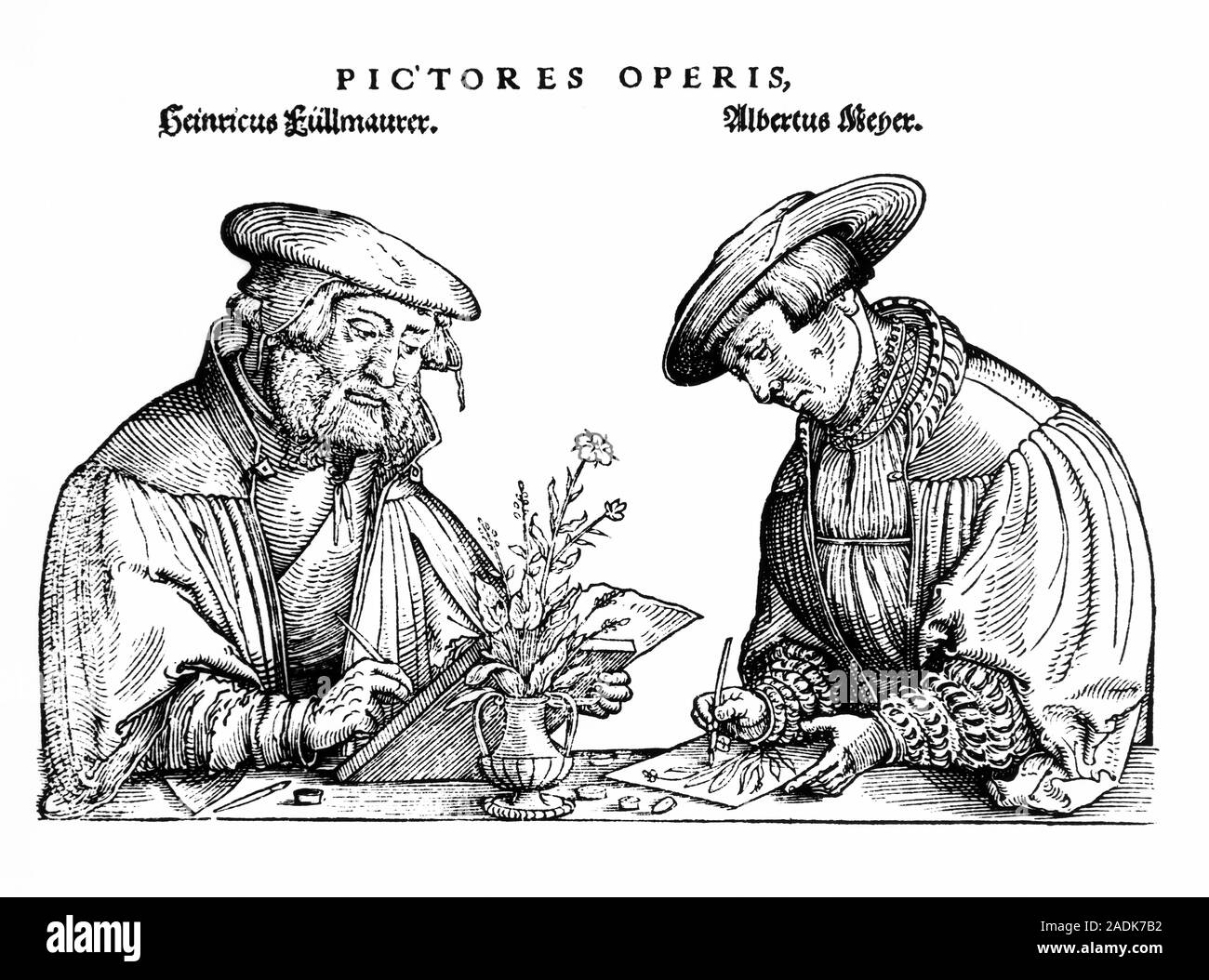 The 16th century botanical illustrators of Leonard Fuchs' 'History of ...