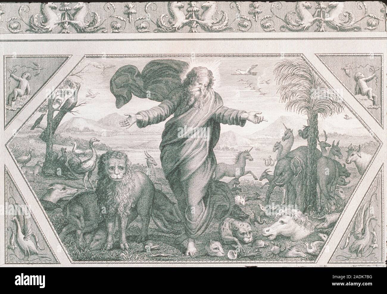The Creation. Engraving of God creating the plants and animals of Earth ...