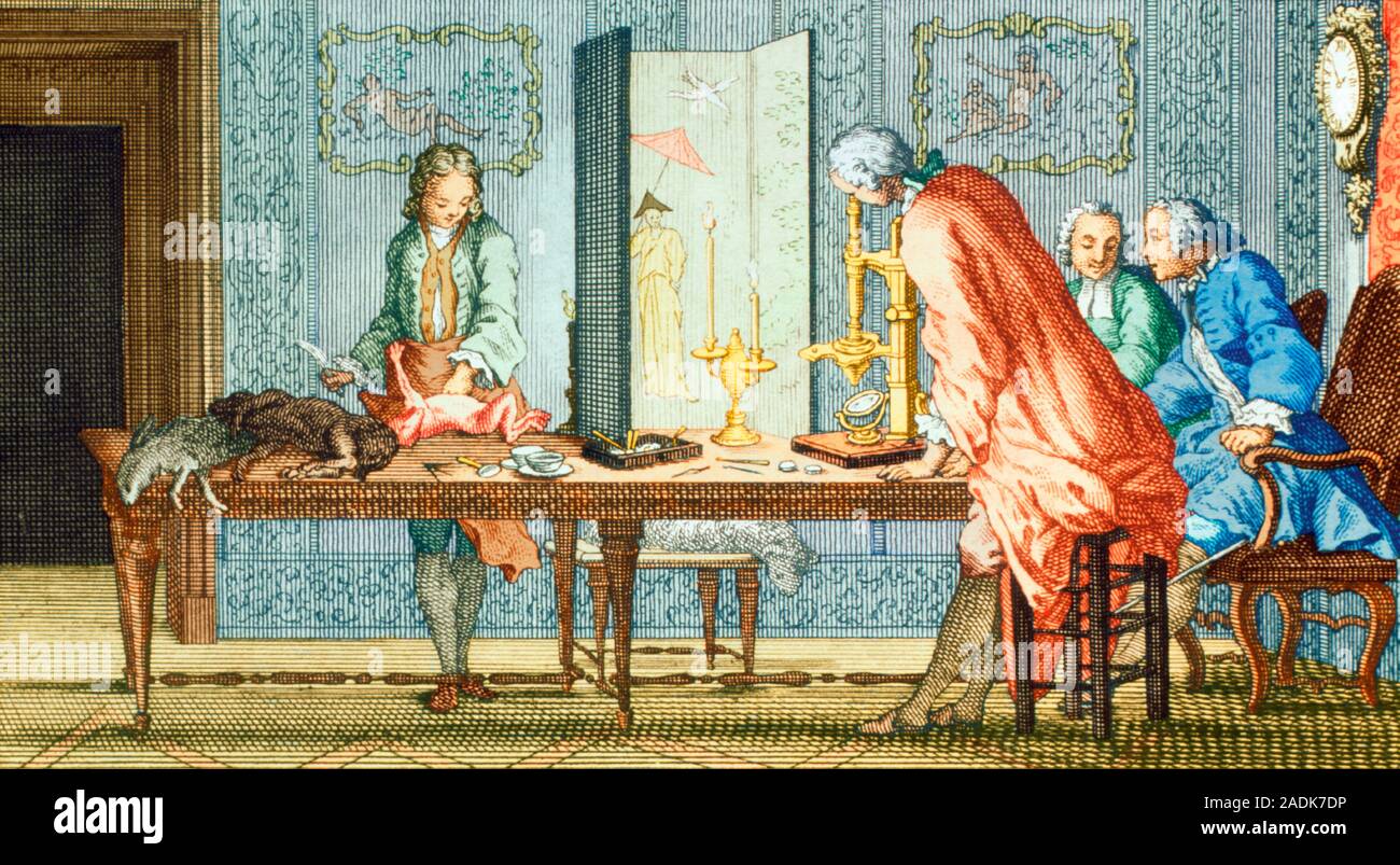 Animal experiment. Historical artwork of animals being dissected and ...
