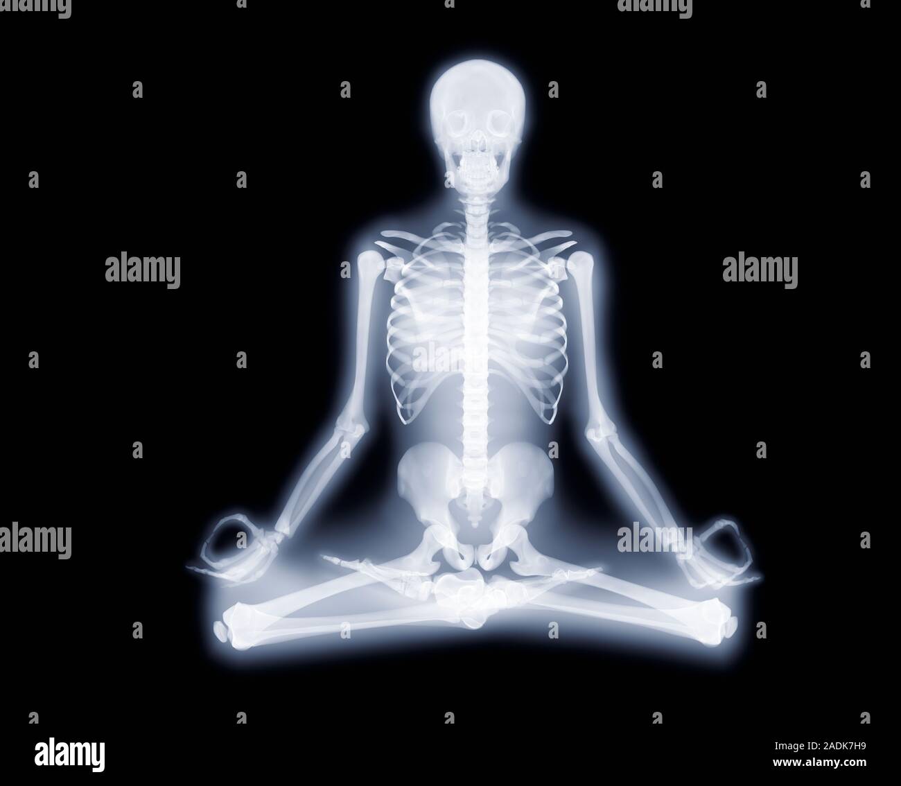 Yoga. Computer artwork based on an X-ray of a person in the lotus ...