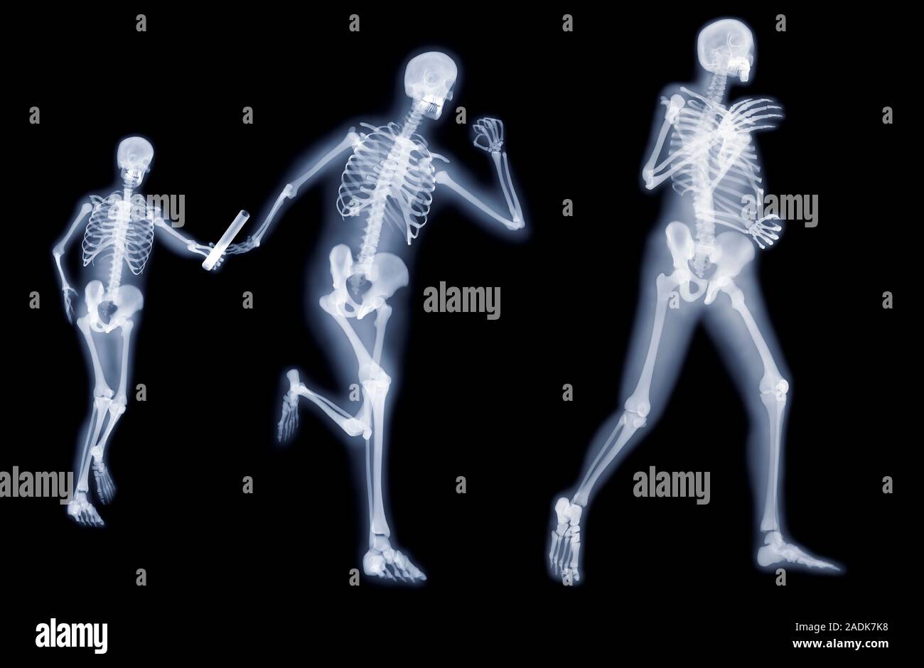 Relay runners exchanging a baton during a race, computer artwork based ...