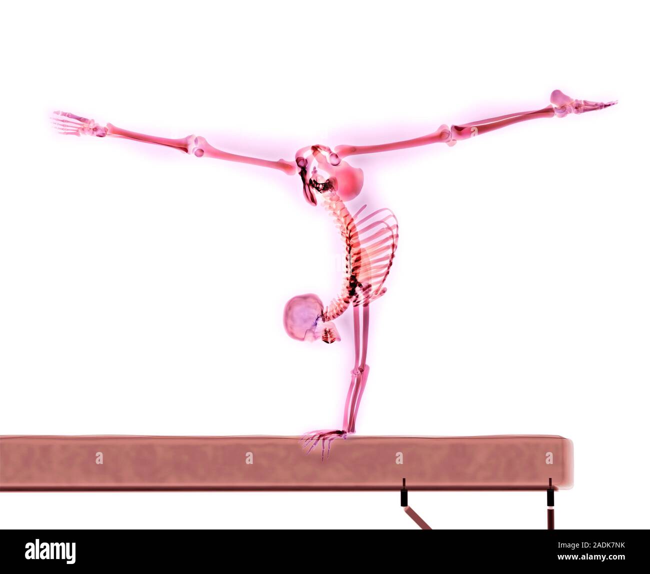 Gymnast. Enhanced X-ray of a gymnast performing a split handstand on a ...