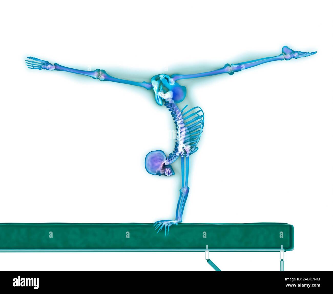 Gymnast. Enhanced X-ray of a gymnast performing a split handstand on a ...
