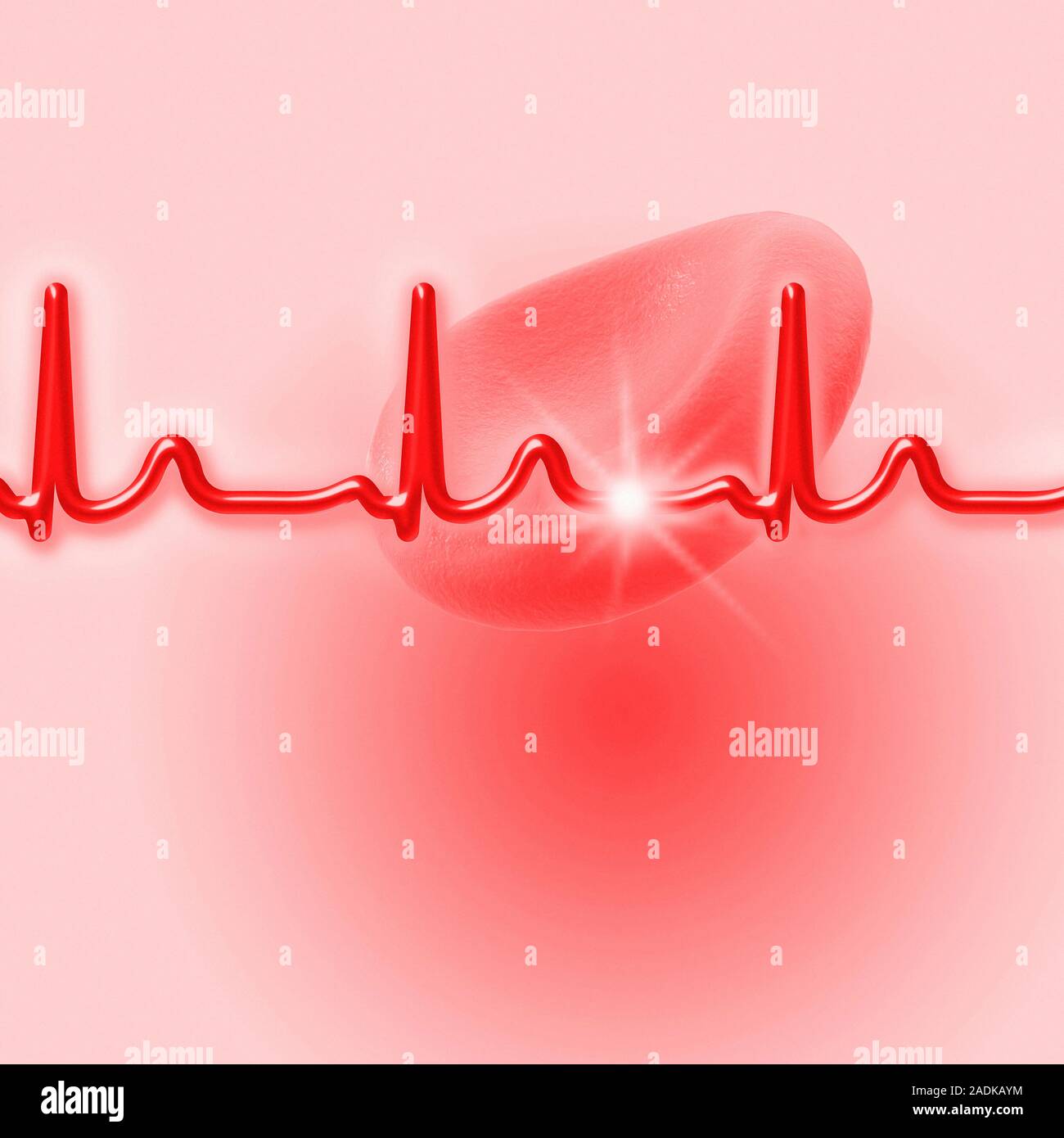 ECG and red blood cell. Computer artwork of an electrocardiogram (ECG ...