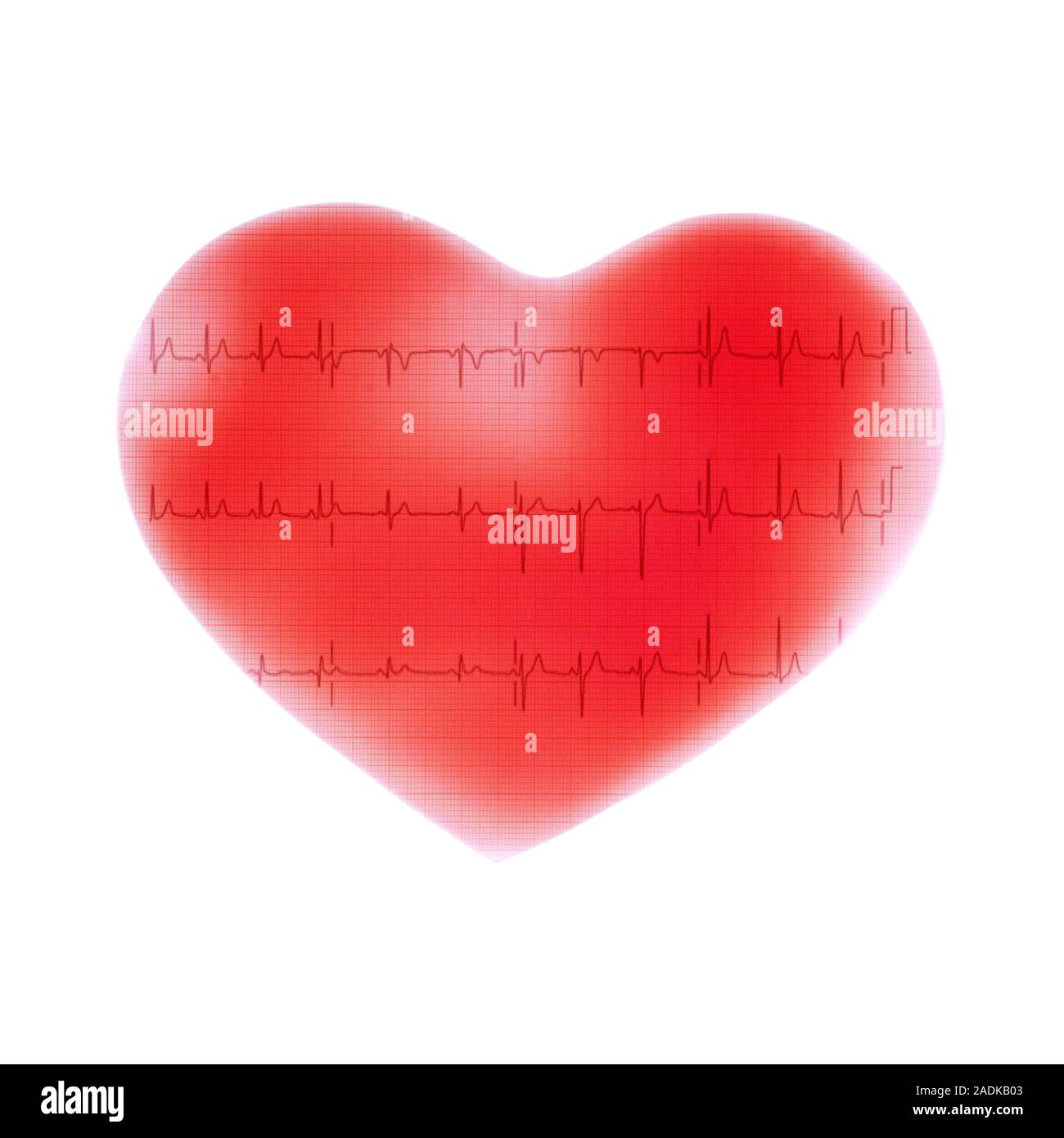 Heart and ECG (electrocardiogram). Computer artwork of a heart shape ...