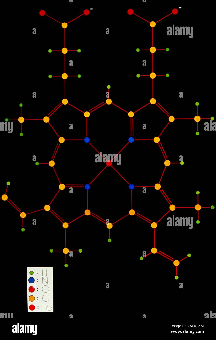 Diagram showing the atomic structure of the haem group of the ...